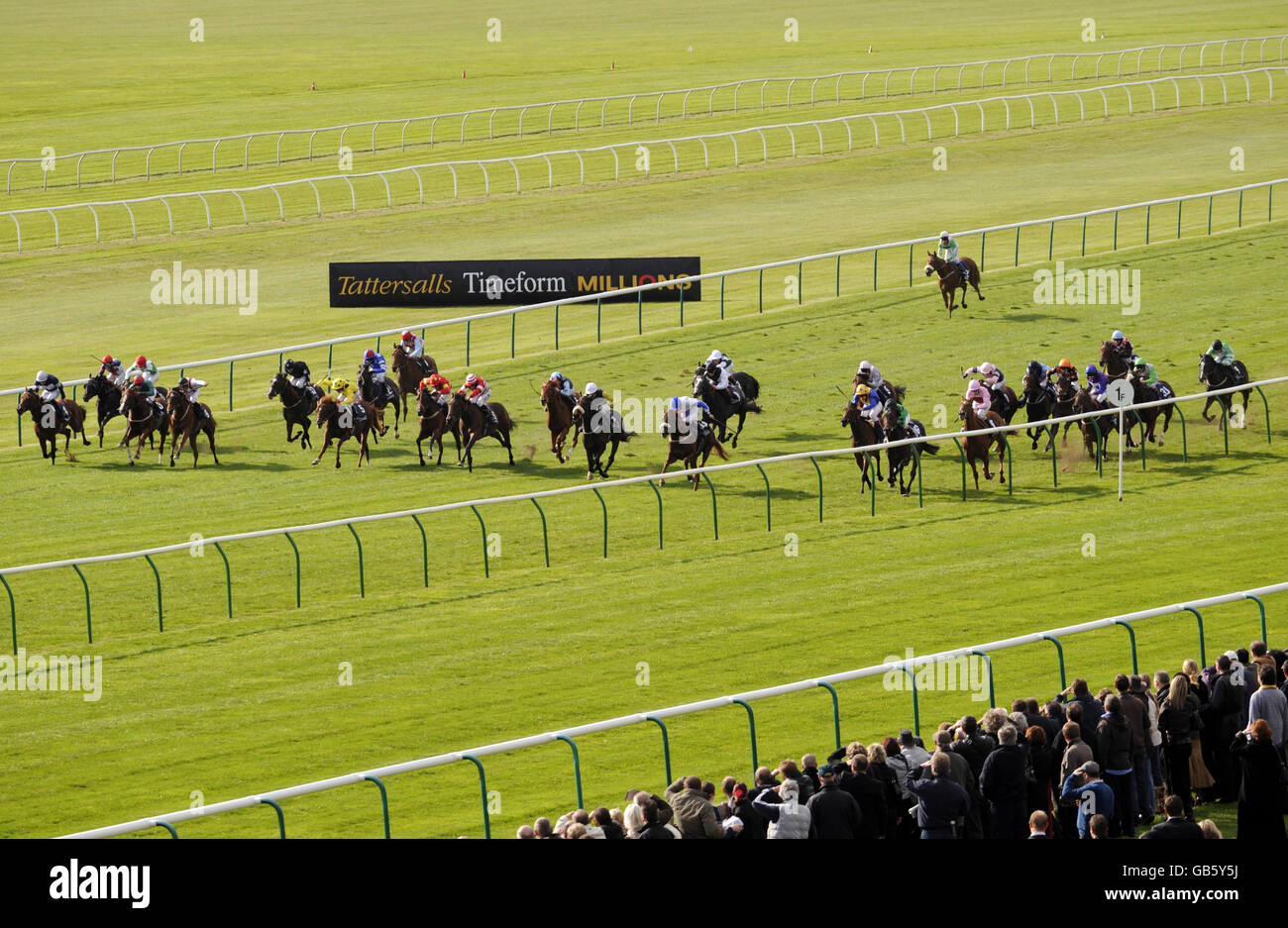 Racing newmarket racecourse High Resolution Stock Photography and ...