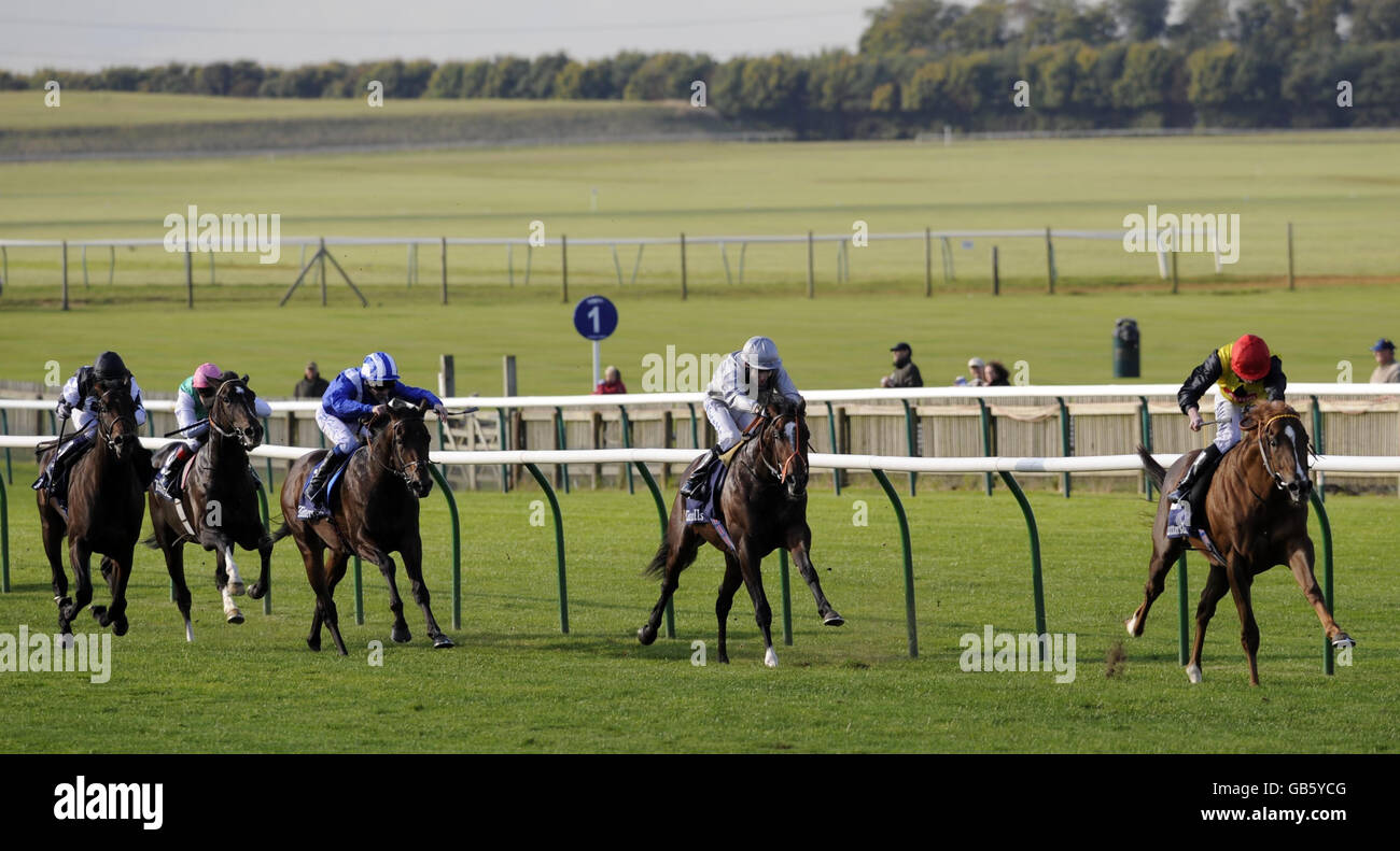 Suffolk horse tattersall hi-res stock photography and images - Alamy