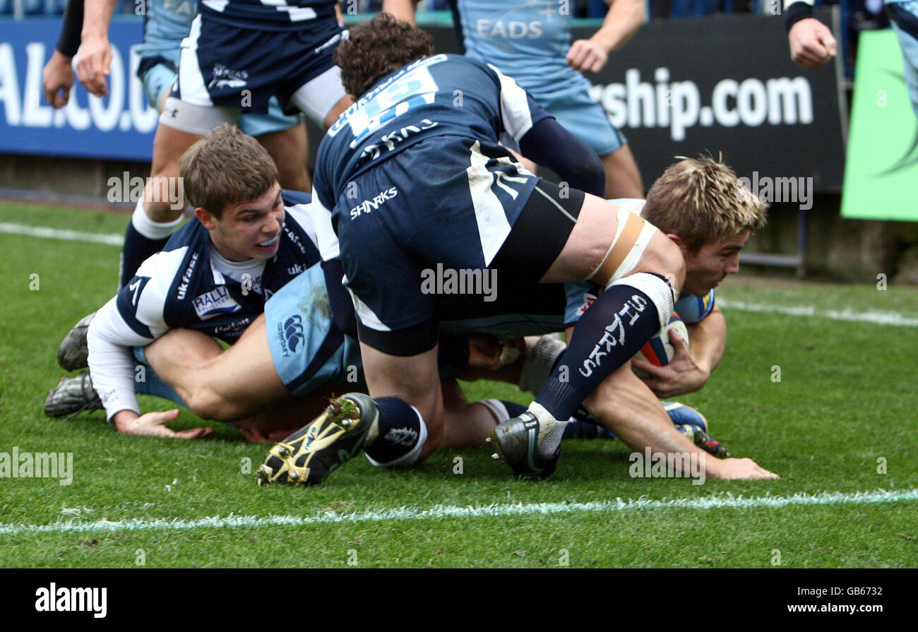 Cardiff Blues' Richard Mustoe stretches for the line and scores the ...