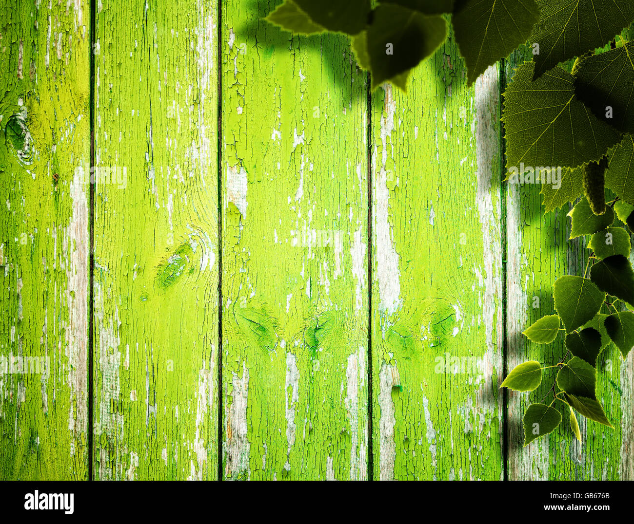 Abstract summer and spring backgrounds with foliage and wooden fence ...