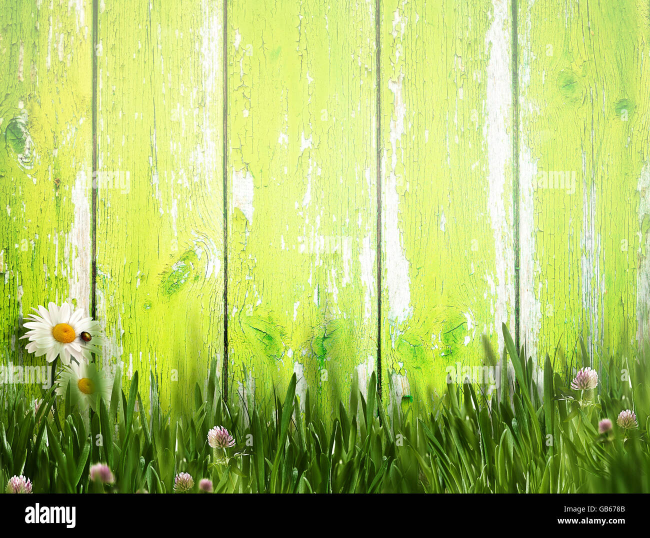 Splendid summer backgrounds with old fence and green grass Stock Photo ...