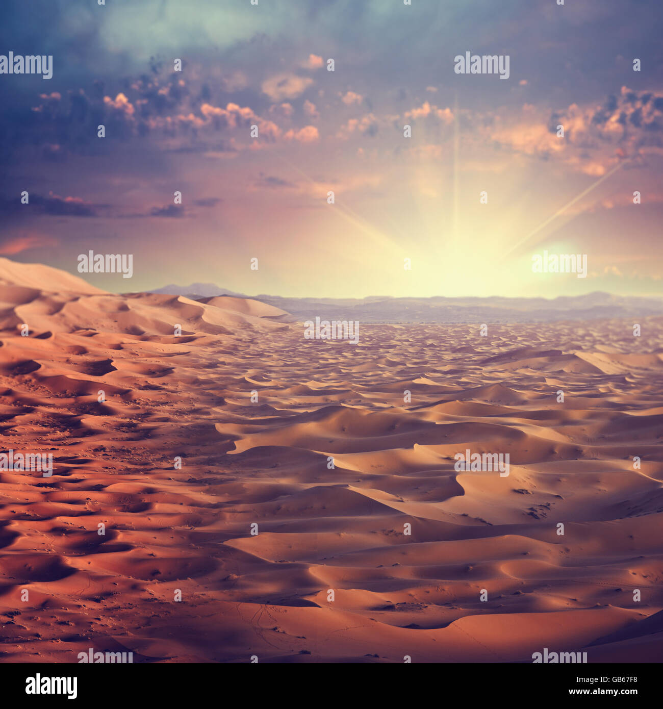 Blinding desert light hi-res stock photography and images - Alamy