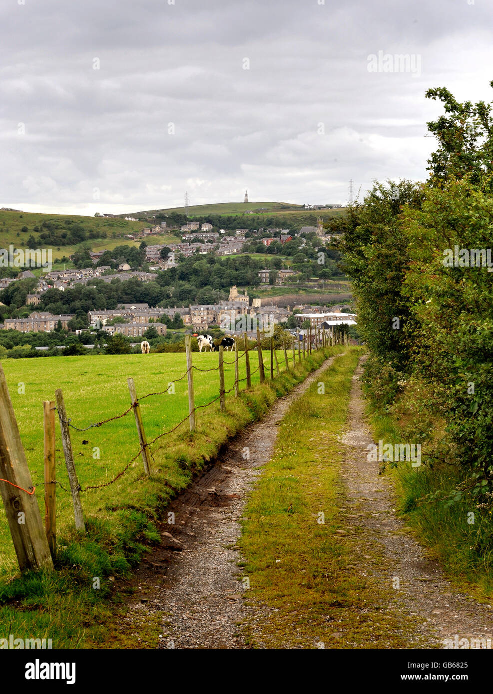 General view of Hartshead Pike in Mossley, seen from Millbrook in ...