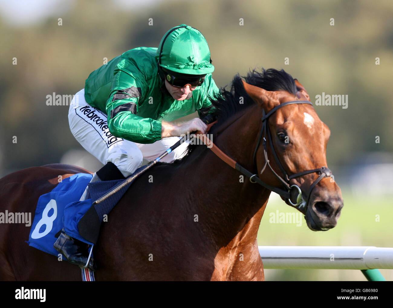 Horse Racing - Nottingham Racecourse Stock Photo - Alamy