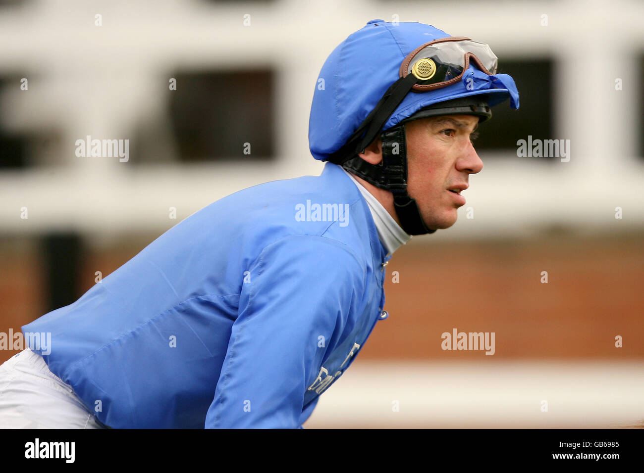 Horse Racing - Trinidad & Tobago Day - Pontefract Stock Photo - Alamy
