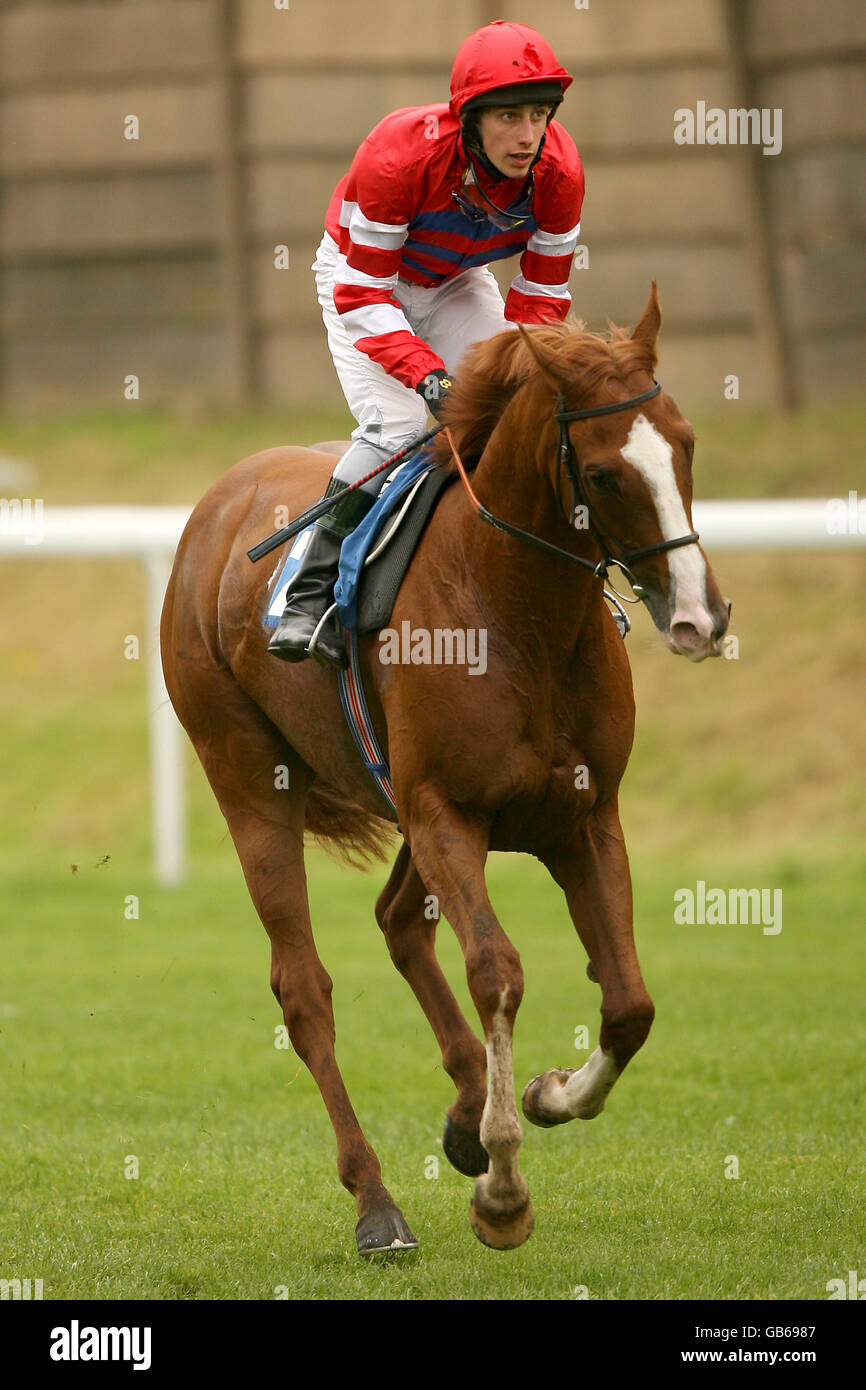 Horse Racing - Trinidad & Tobago Day - Pontefract Stock Photo - Alamy