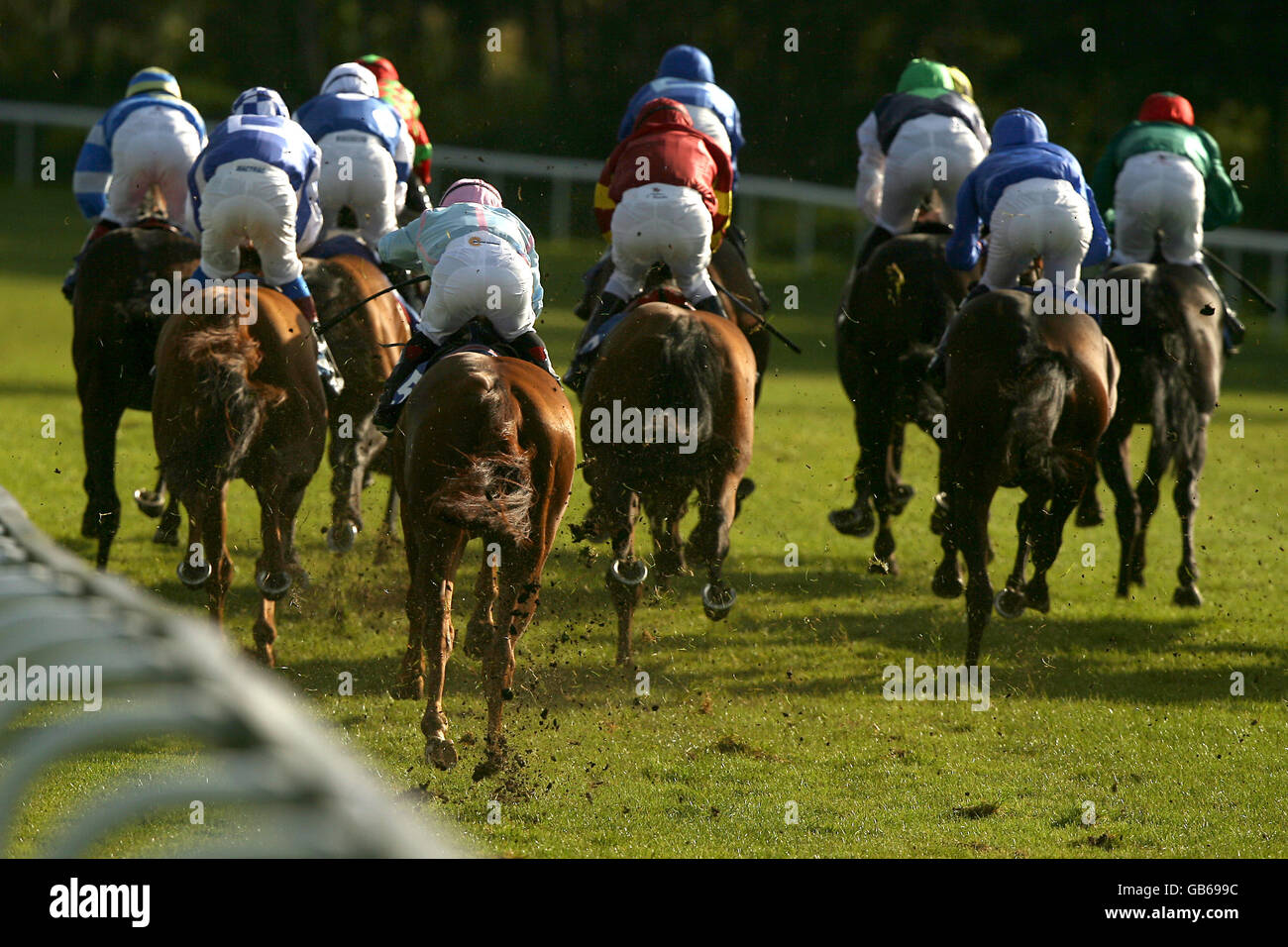 Horse Racing - Trinidad & Tobago Day - Pontefract. Horses' and Jockey's ...