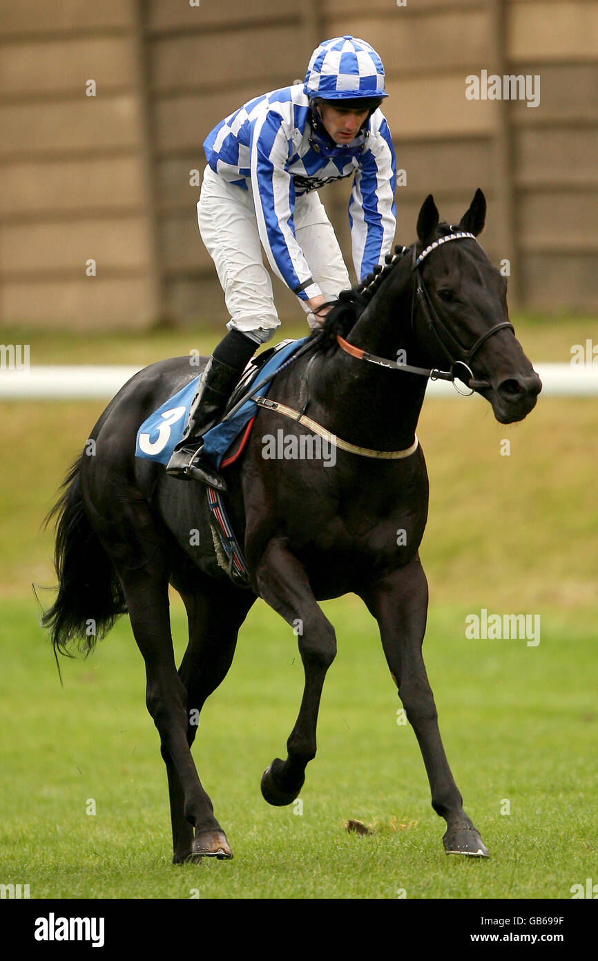 Horse Racing - Trinidad & Tobago Day - Pontefract Stock Photo - Alamy