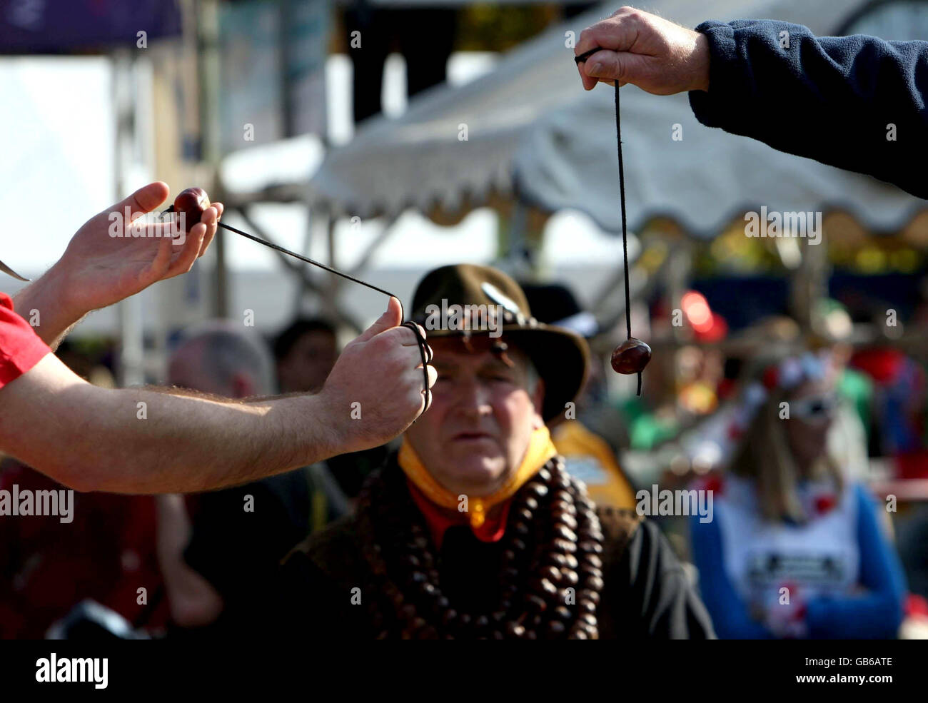 World Conker Championships Stock Photo - Alamy