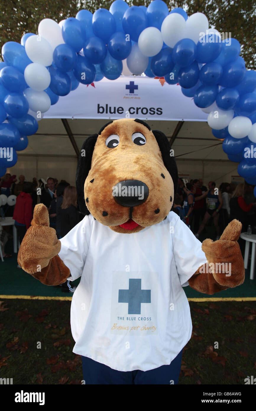 Blue Cross Charity Pets