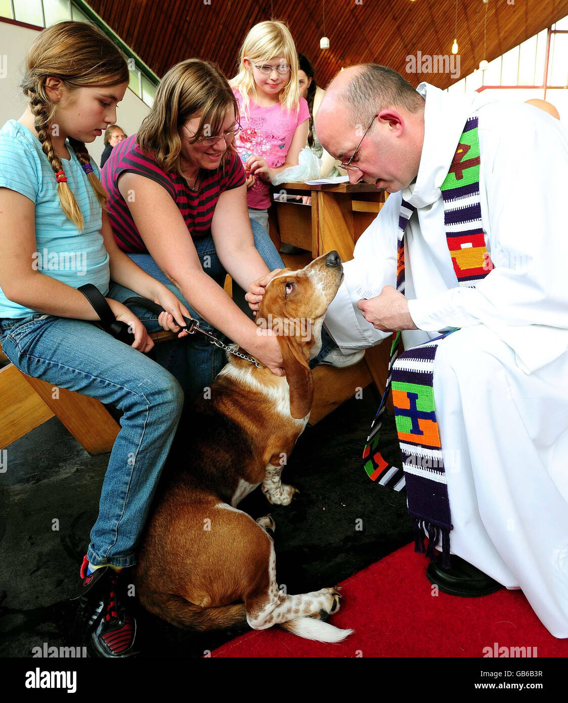 Pets attend church service Stock Photo - Alamy