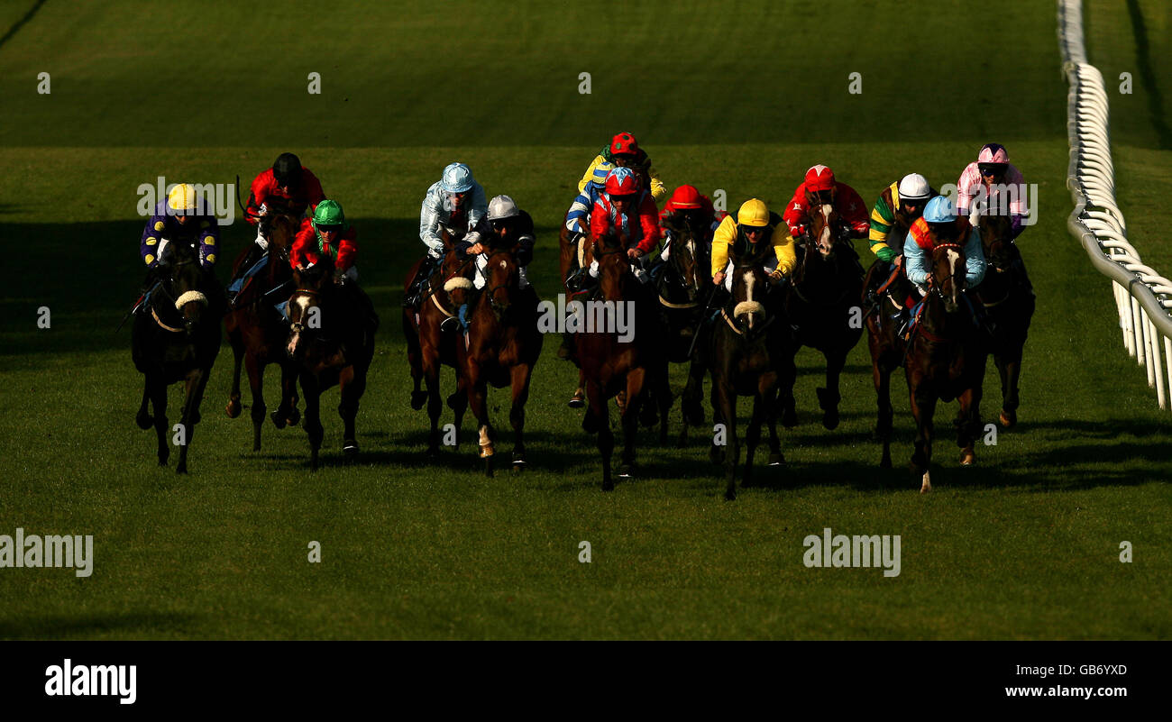 Rosa b hi-res stock photography and images - Alamy