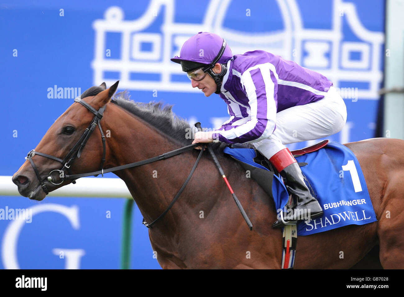 Shadwell park hi-res stock photography and images - Alamy