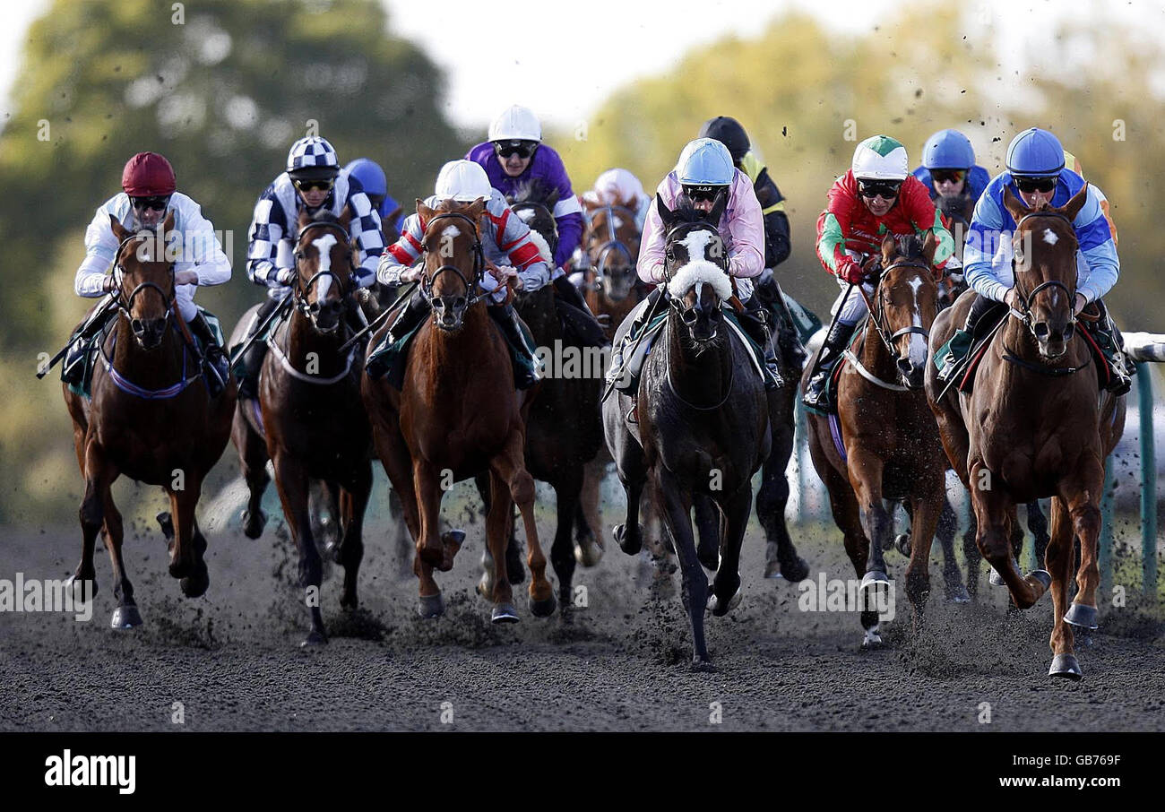 Horse Racing - Lingfield Park Racecourse Stock Photo - Alamy