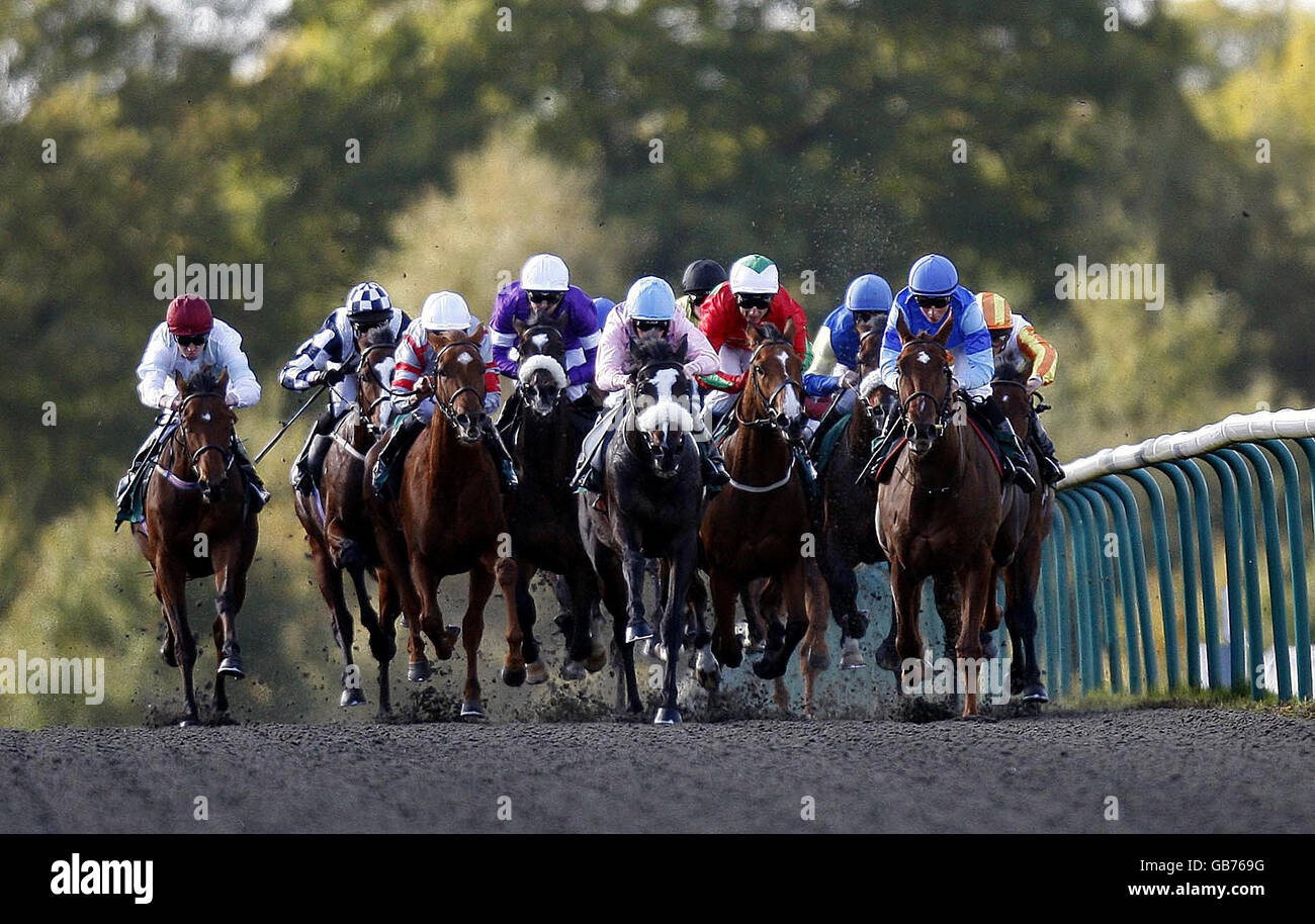 Horse Racing - Lingfield Park Racecourse Stock Photo - Alamy