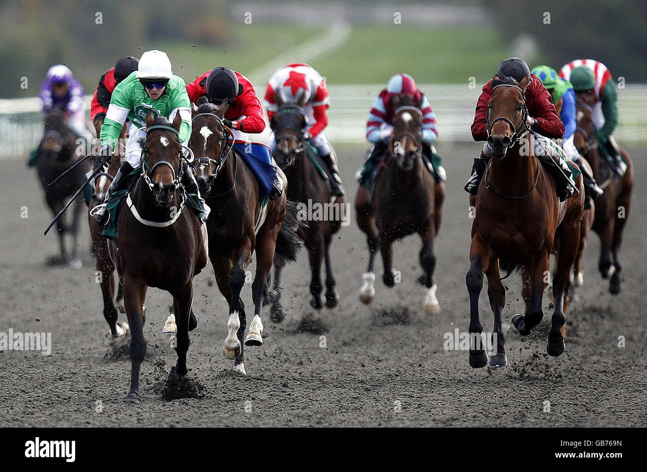 Horse Racing - Lingfield Park Racecourse Stock Photo - Alamy