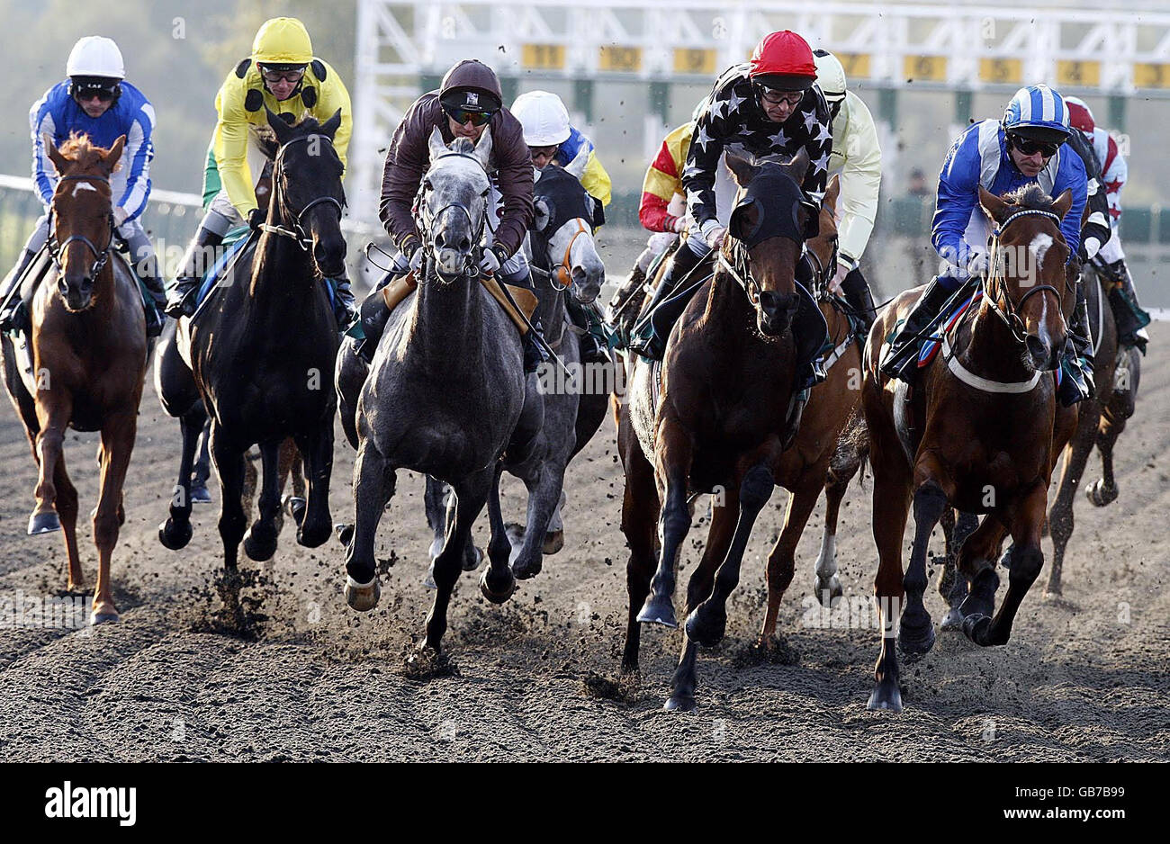 Horse Racing - Lingfield Racecourse Stock Photo - Alamy