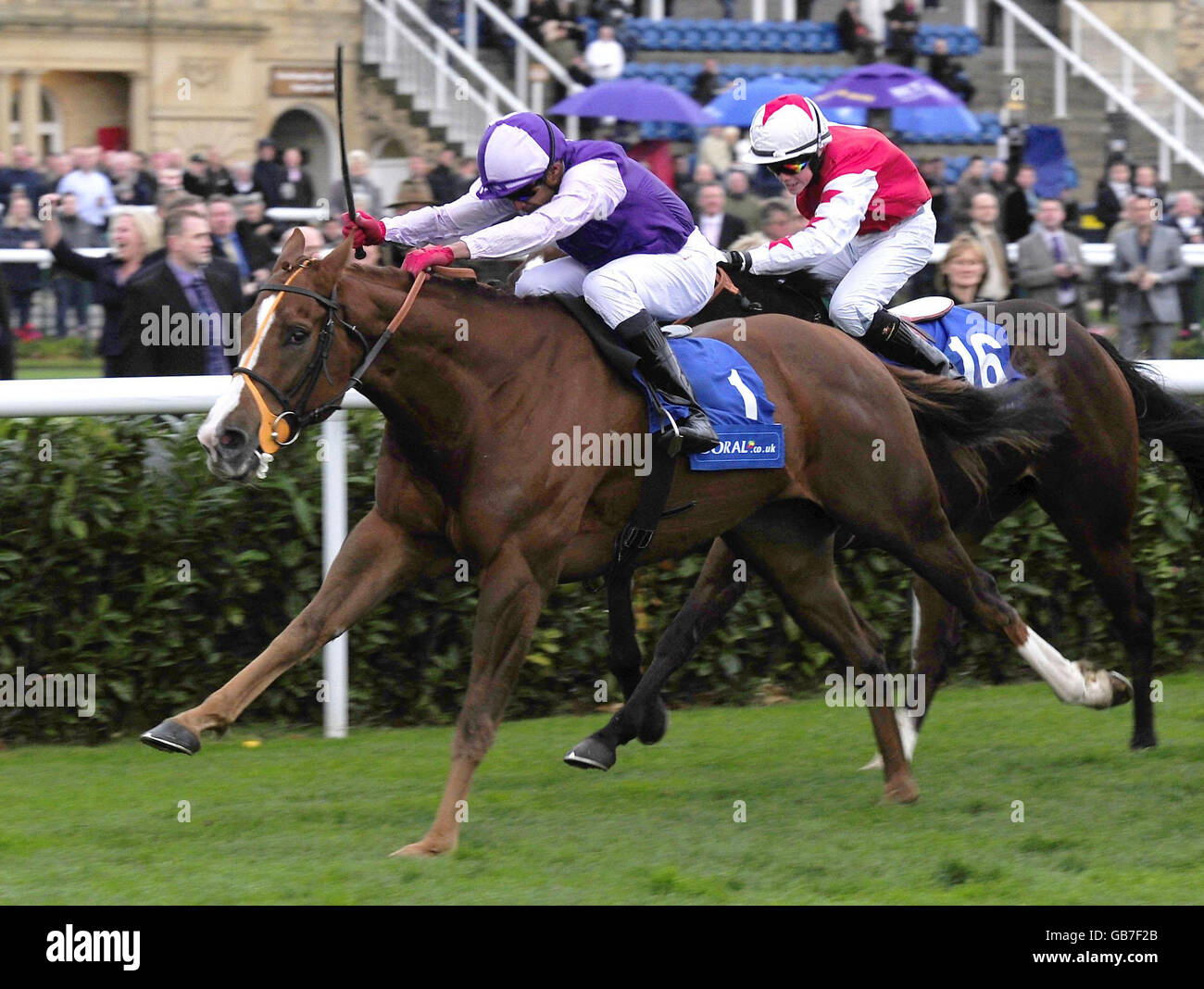 Horse racing racing post trophy doncaster racecourse hi-res stock ...