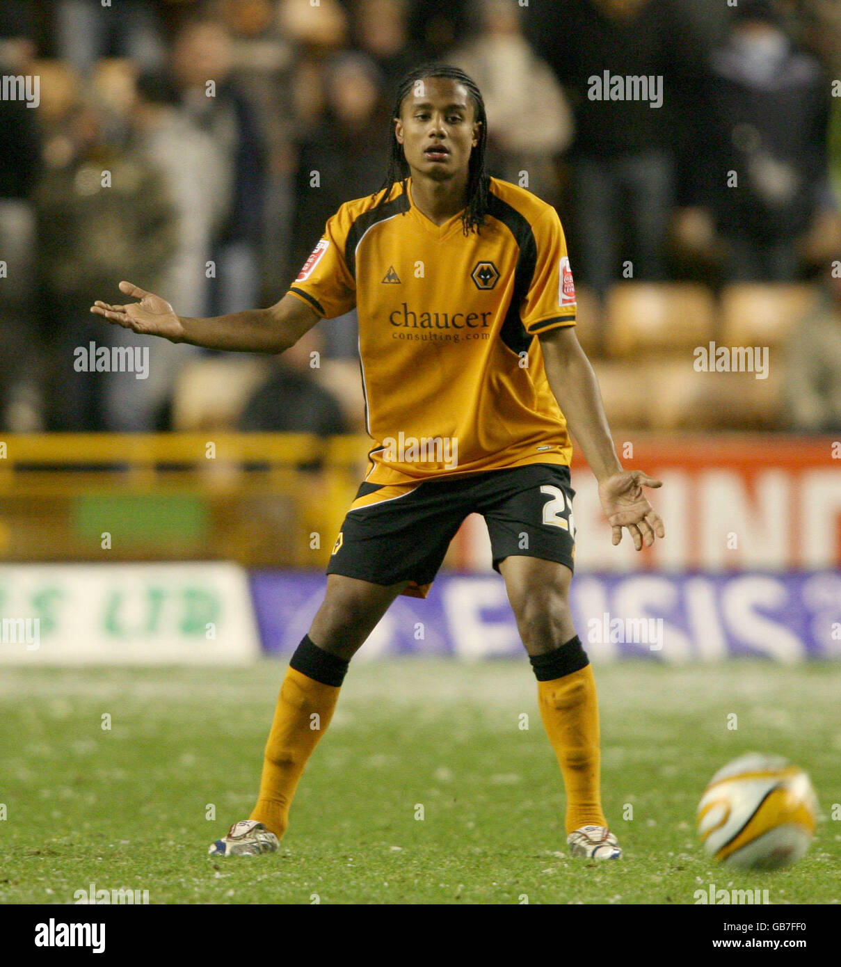 Michael mancienne wolves hi-res stock photography and images - Alamy