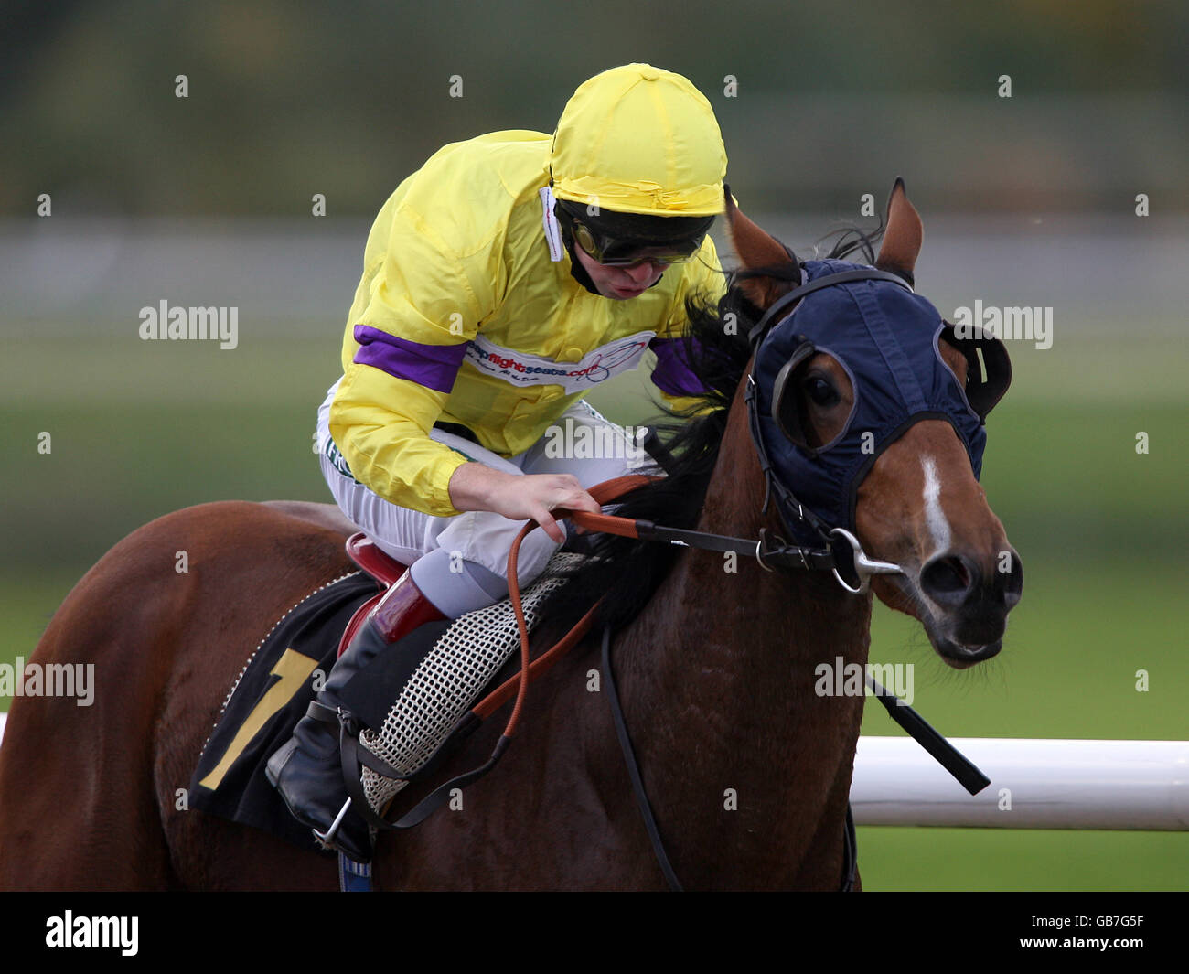 Horse Racing - Wolverhampton Racecourse Stock Photo - Alamy