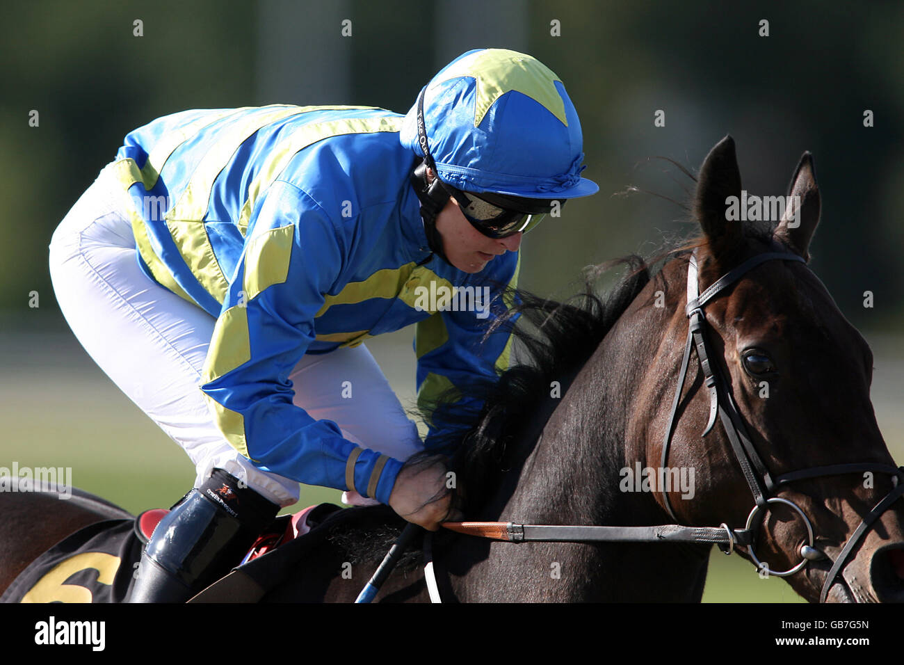 Horse Racing - Wolverhampton Racecourse Stock Photo - Alamy
