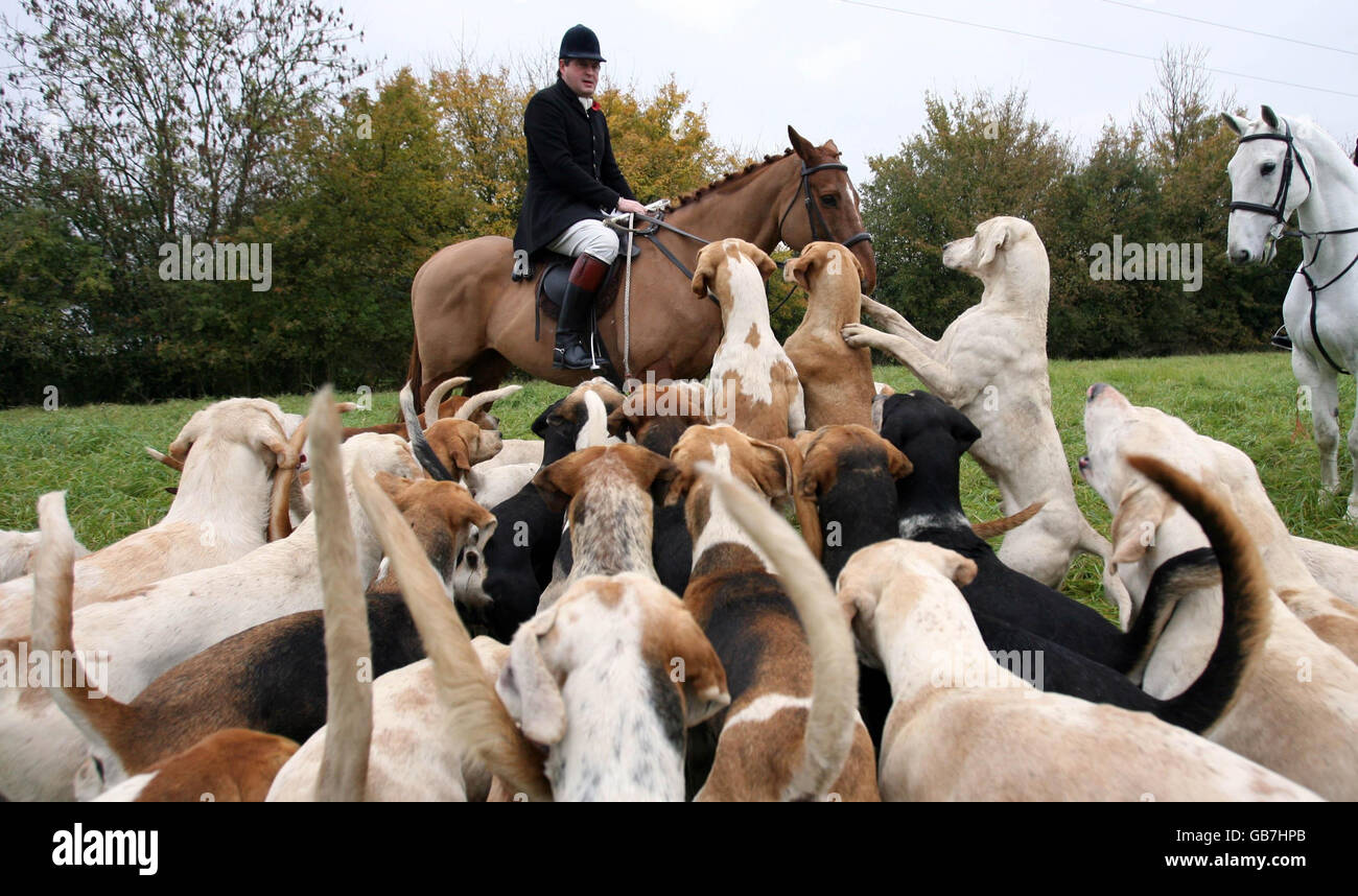 First weekend of hunting season Stock Photo - Alamy