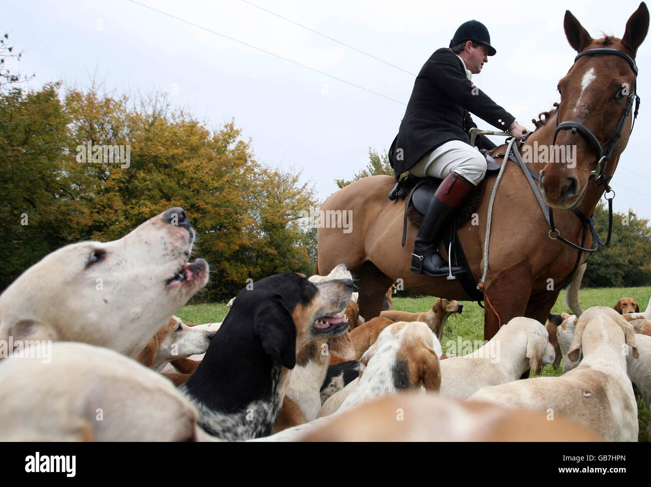 First weekend of hunting season Stock Photo - Alamy