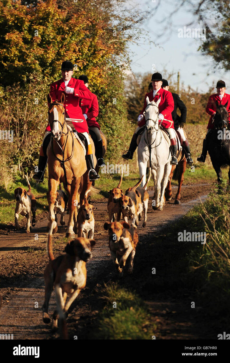 Huntsmen and hounds of the York and Ainsty South Hunt at Crayke ...