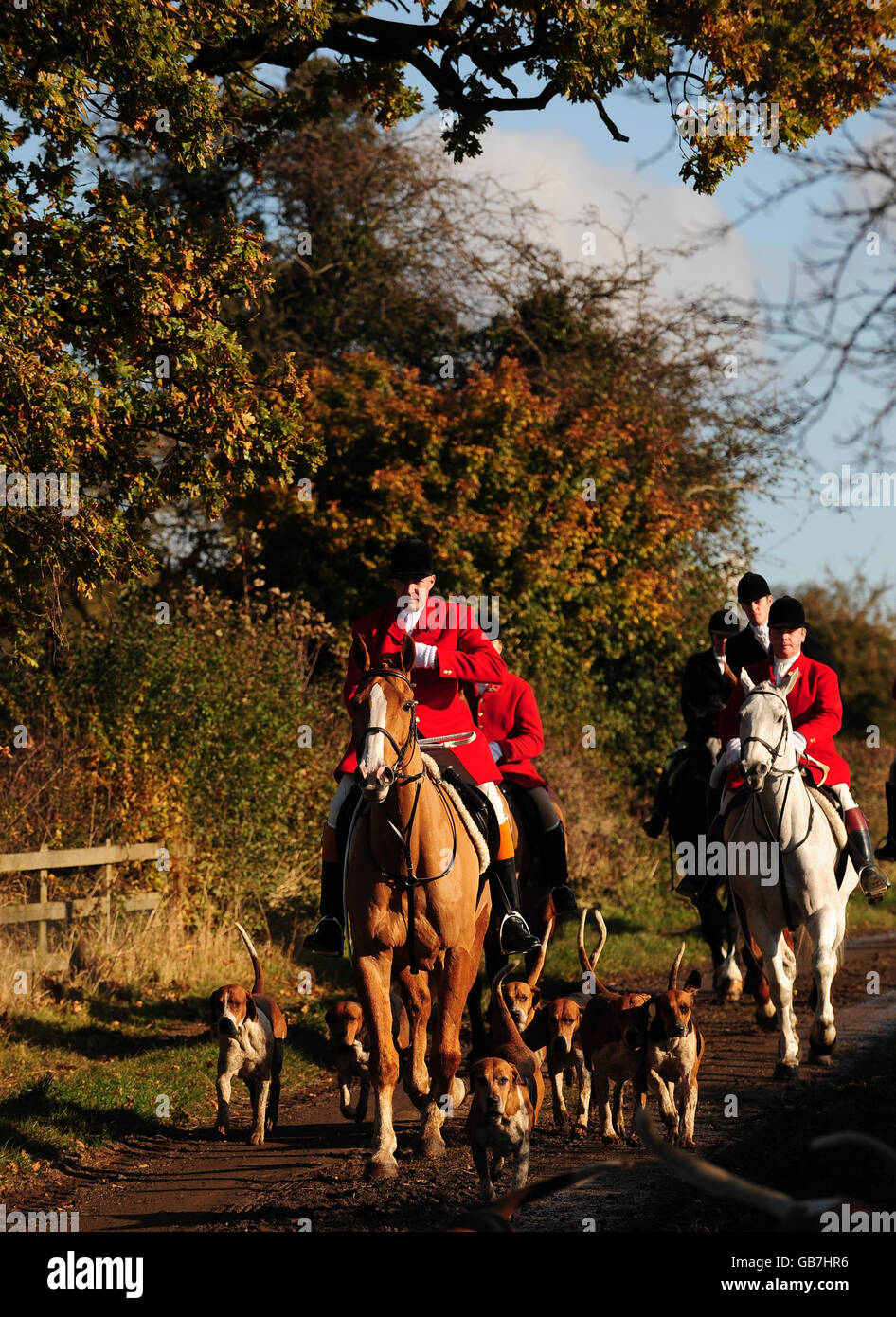 Huntsmen and hounds of the York and Ainsty South Hunt at Crayke ...
