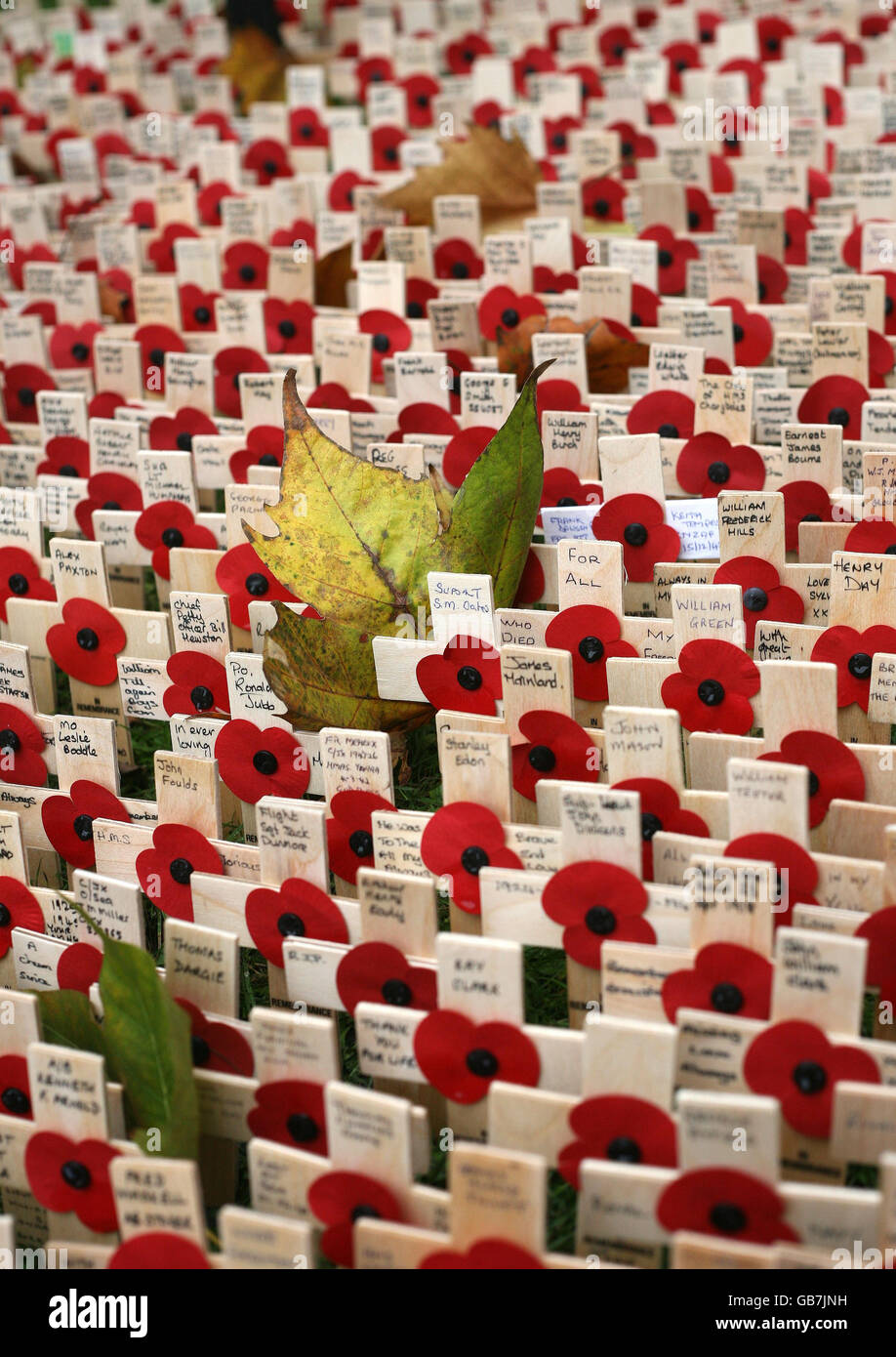 Remembrance crosses placed at Westminster Abbey, London, ahead of ...