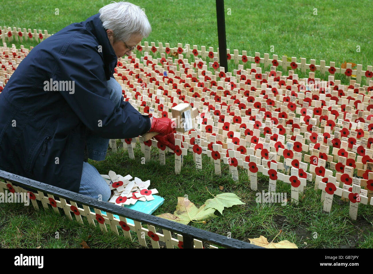 Remembrance crosses placed at Westminster Abbey, London, ahead of ...