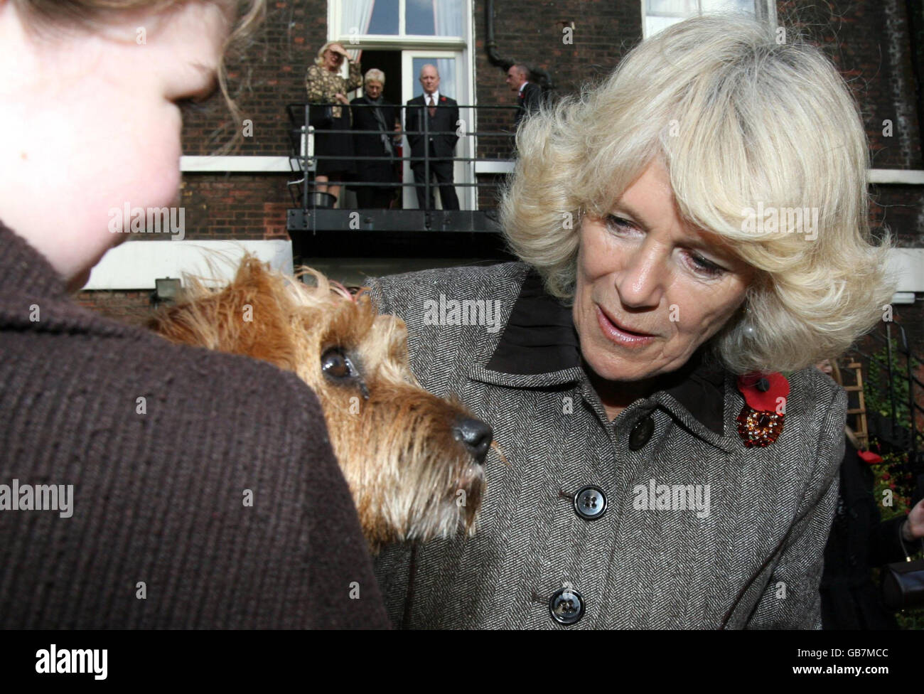 Duchess launches dog walk Stock Photo - Alamy