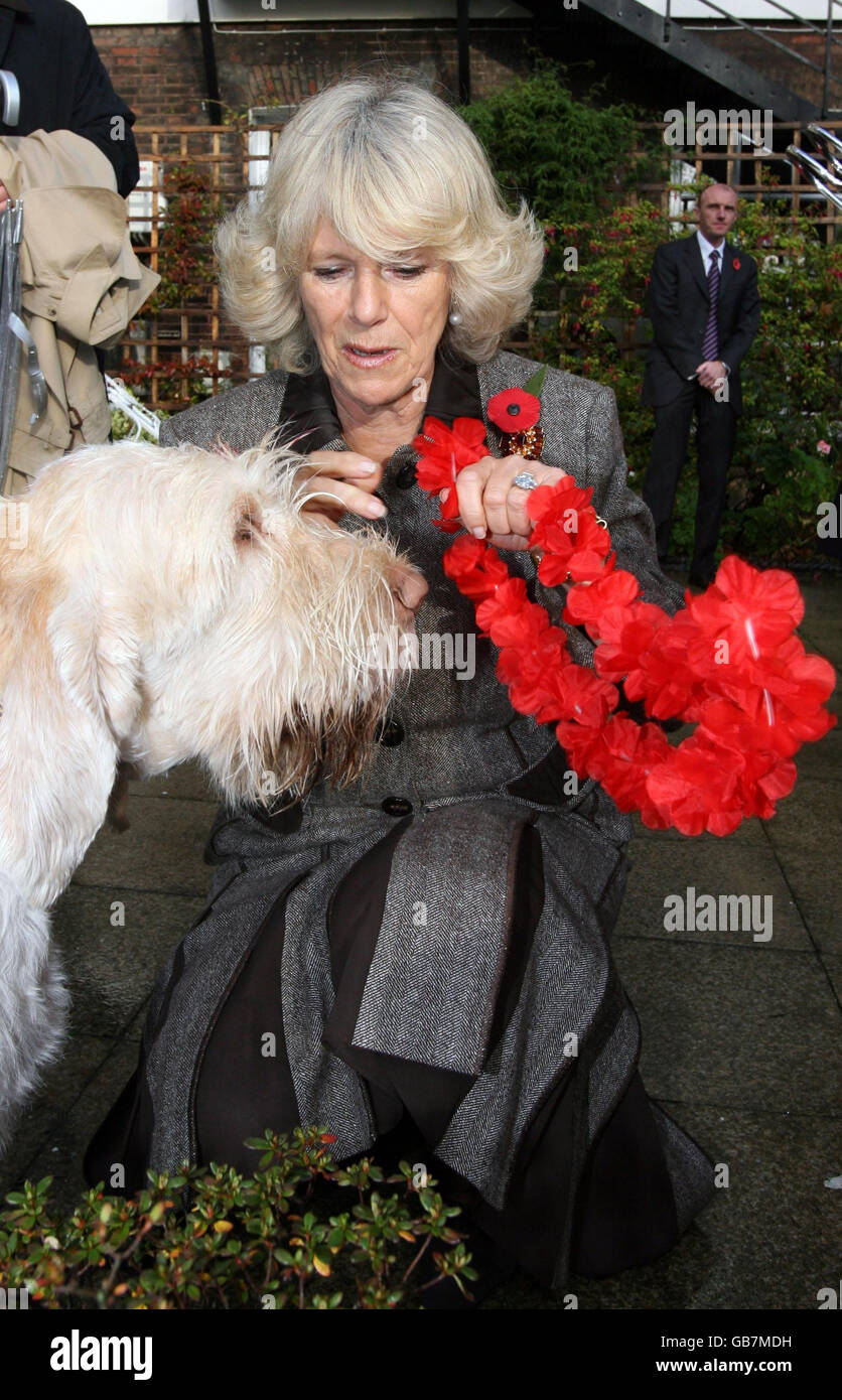 Duchess launches dog walk Stock Photo - Alamy
