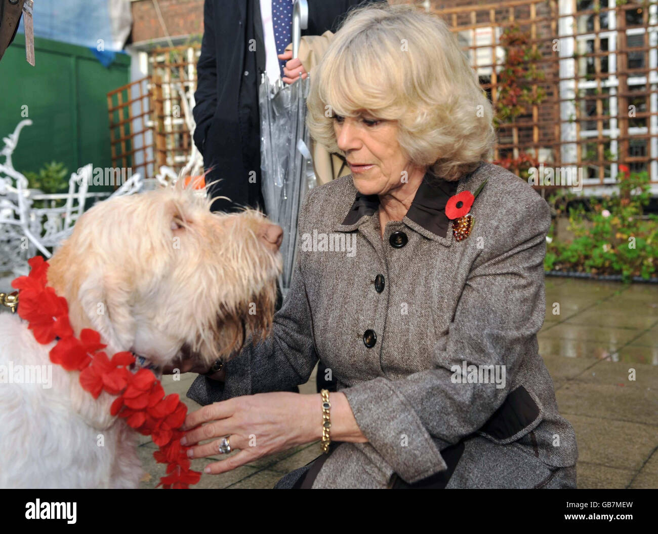 Duchess launches dog walk hi-res stock photography and images - Alamy