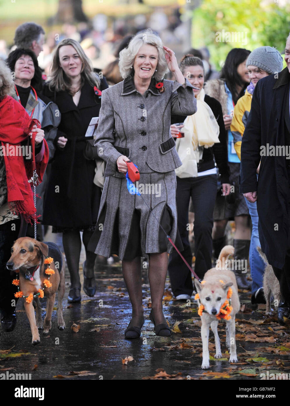 Duchess launches dog walk Stock Photo - Alamy