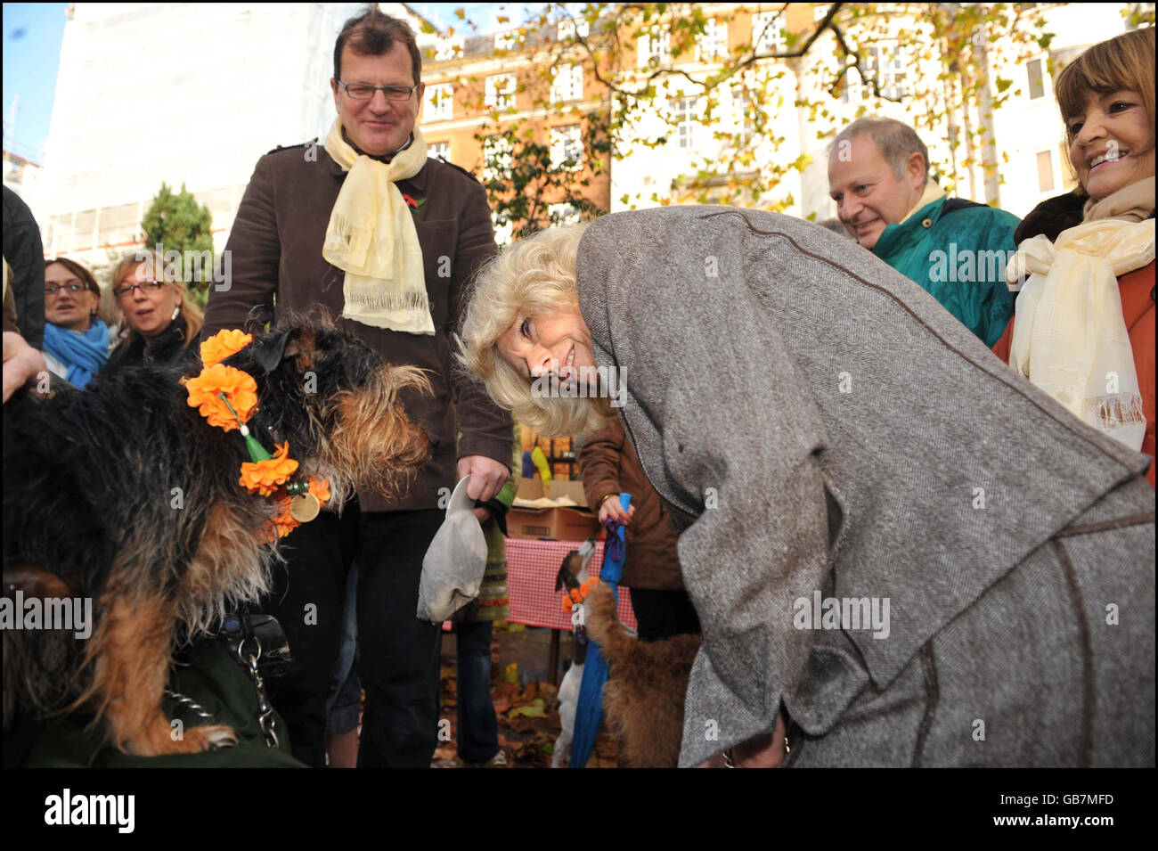 Duchess launches dog walk Stock Photo - Alamy
