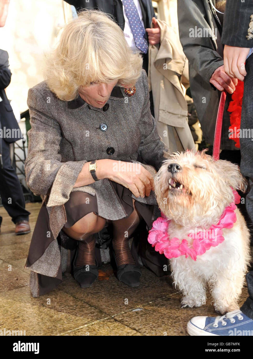 Duchess launches dog walk Stock Photo - Alamy