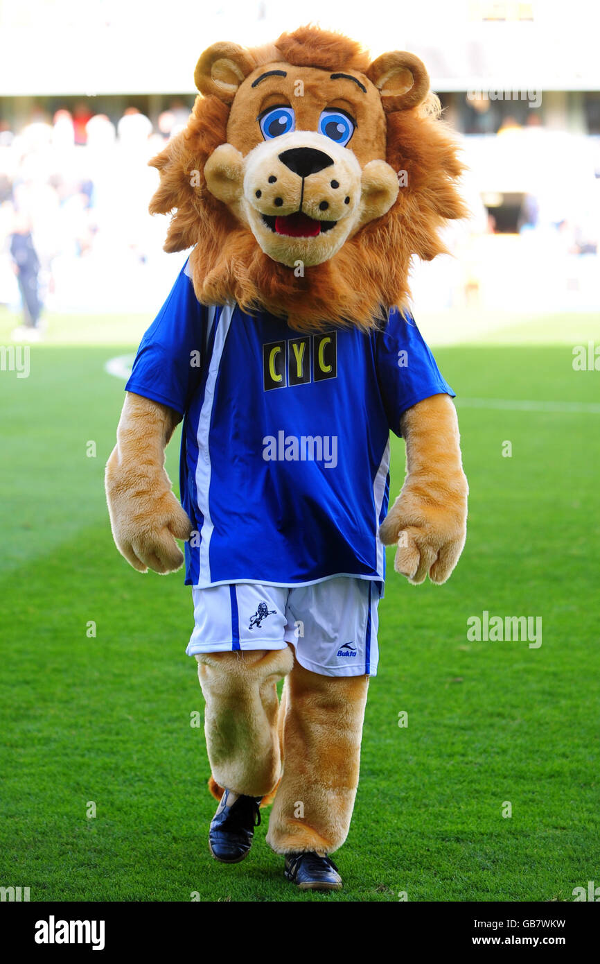 Lion millwall mascot hi-res stock photography and images - Alamy