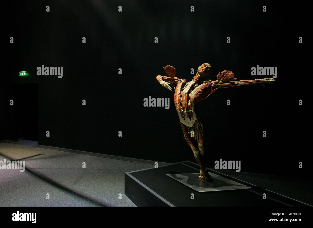 On Point Dancer' which forms part of Dr Gunther von Hagens latest ...