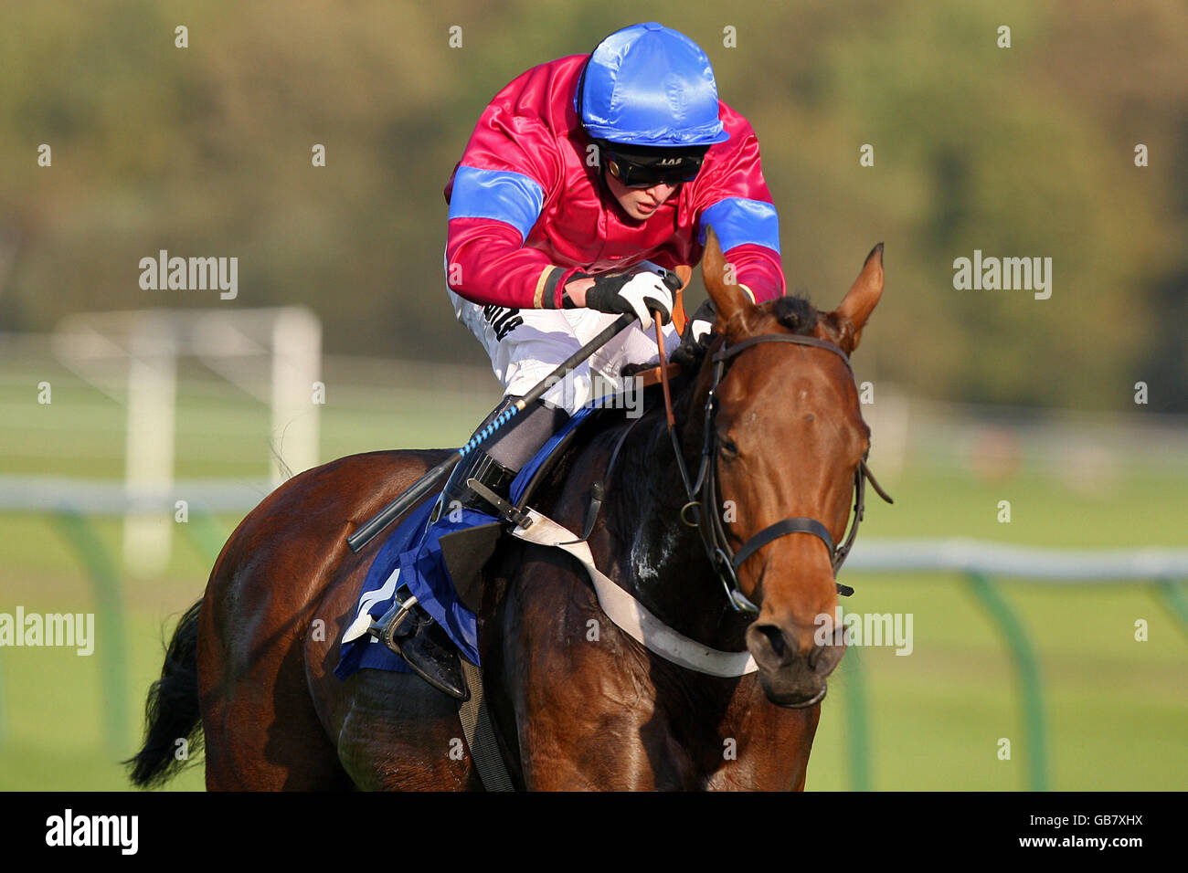 Fancy Woman, ridden by jockey Ross Atkinson, during The racinguk.tv ...