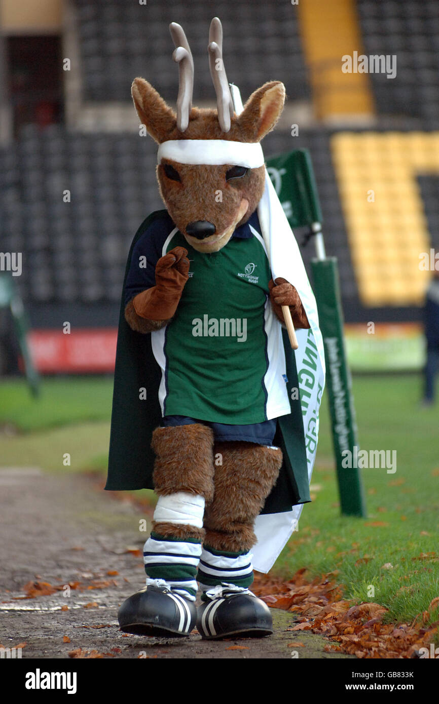 Rugby stag flag ampics hi-res stock photography and images - Alamy