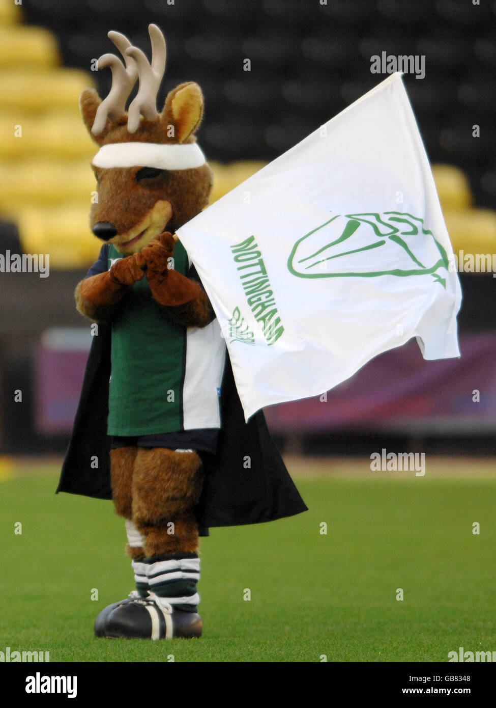 Rugby stag flag ampics hi-res stock photography and images - Alamy