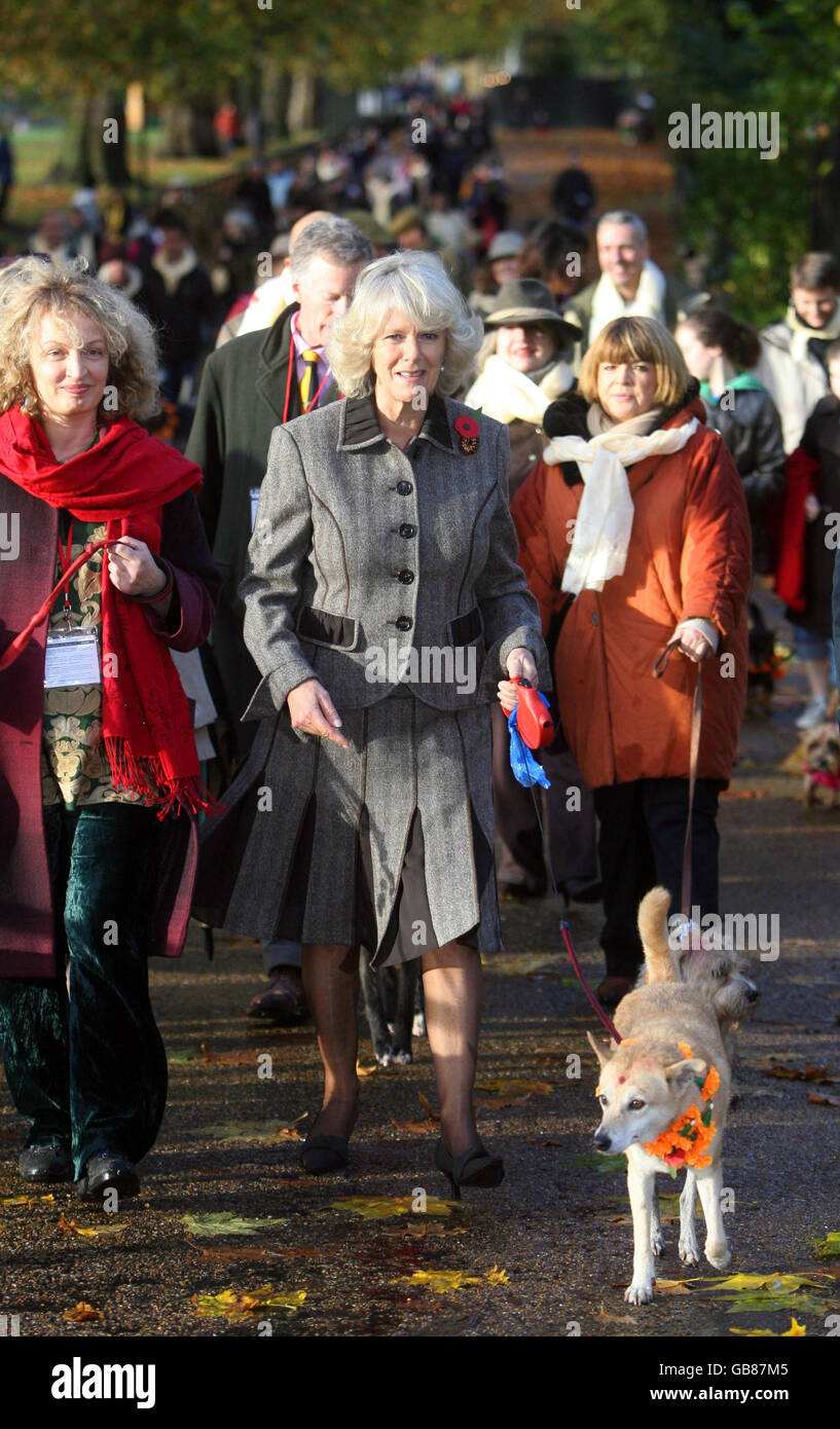 Duchess launches dog walk Stock Photo - Alamy