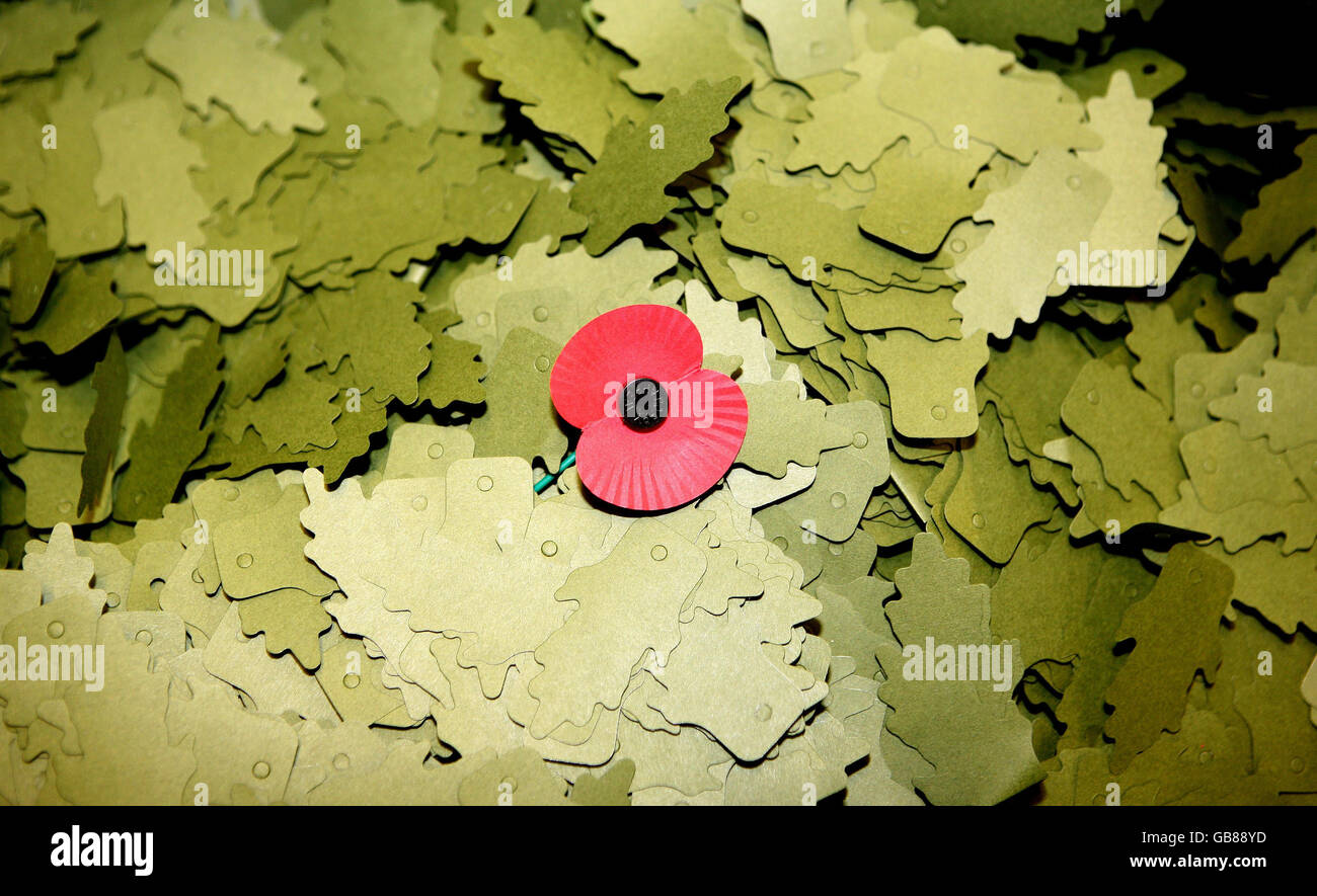 A poppy among green paper leaves at the Royal British Legion Poppy ...
