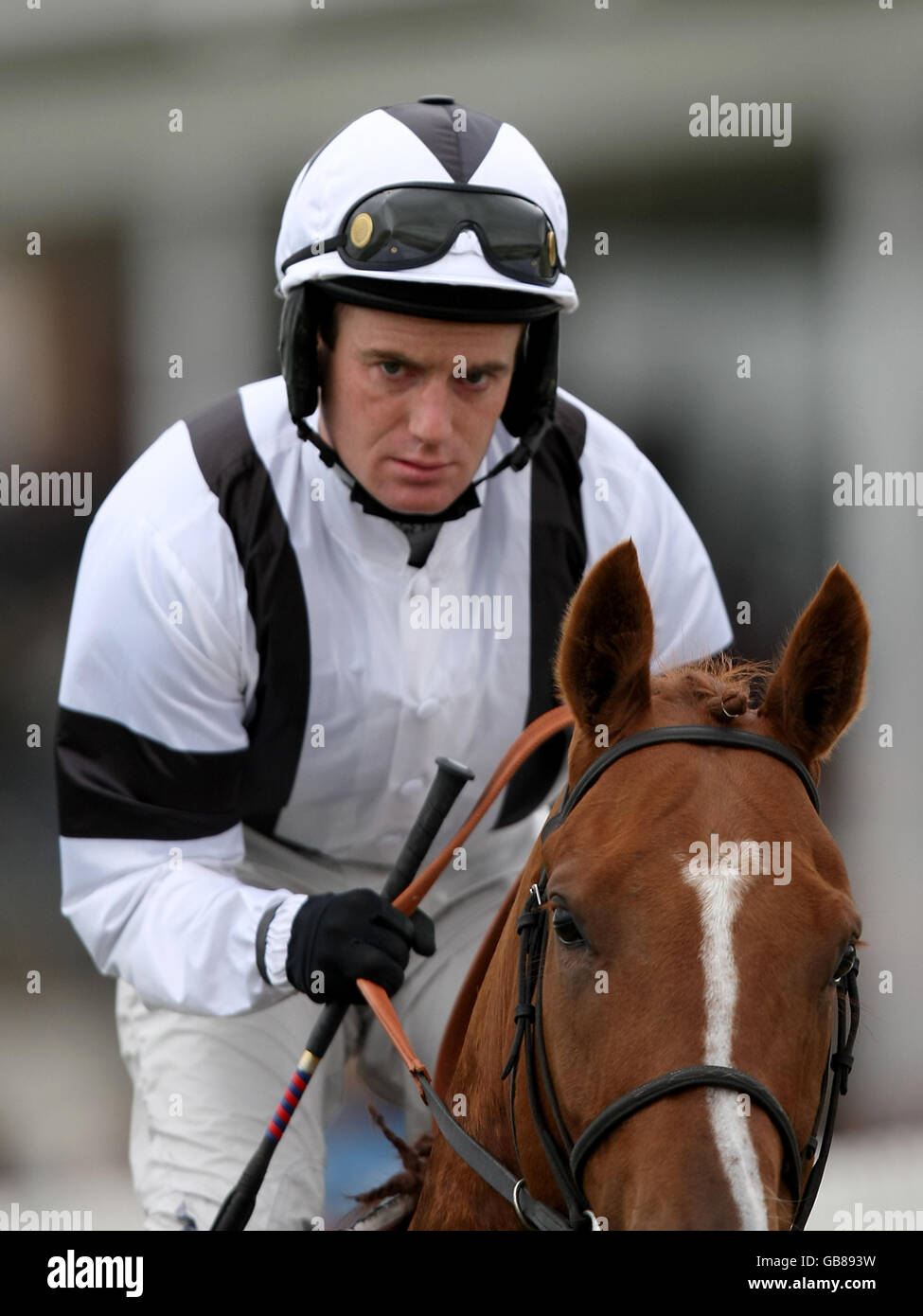 Horse Racing - Wetherby Racecourse Stock Photo - Alamy