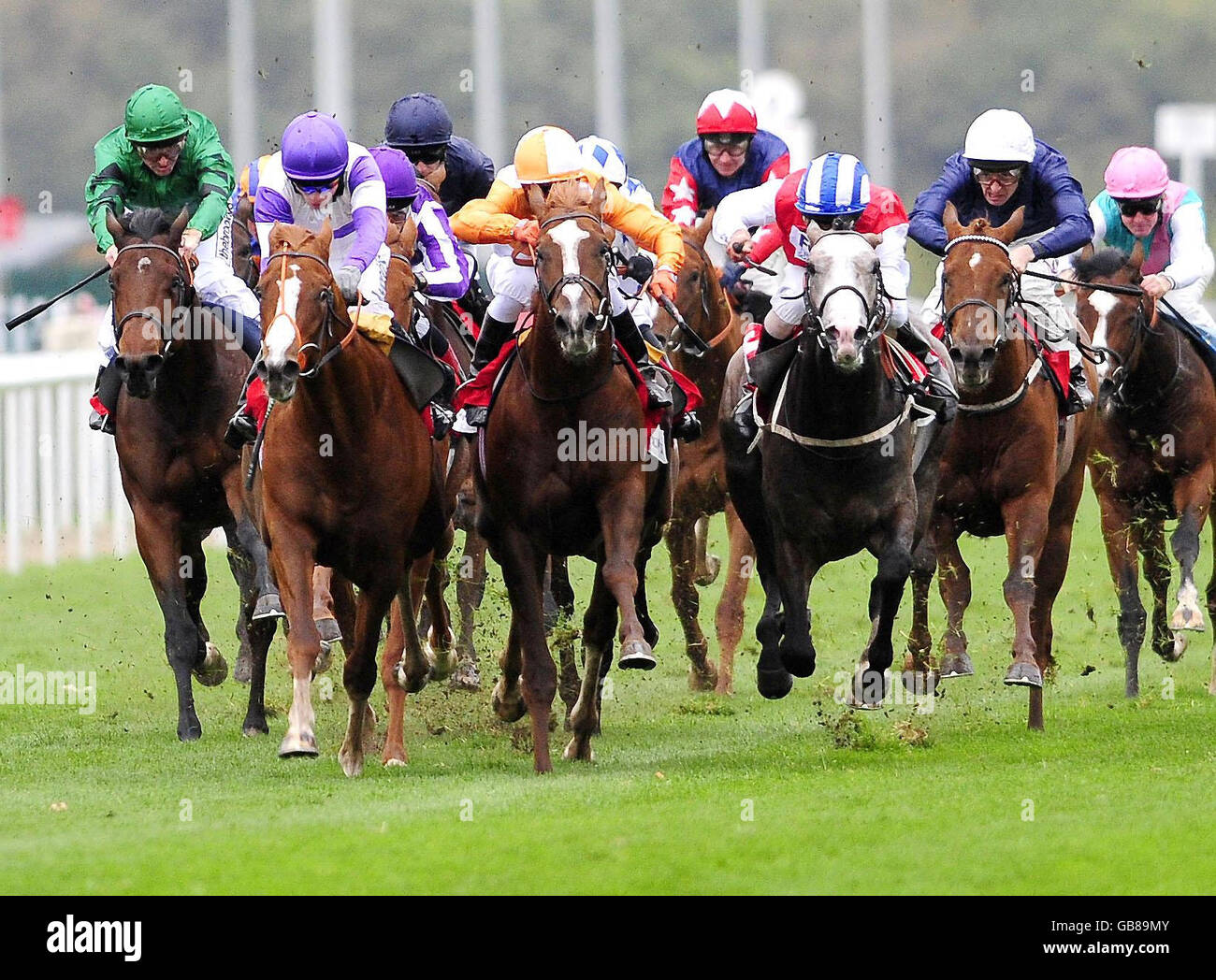 Horse racing racing post trophy doncaster racecourse hi-res stock ...