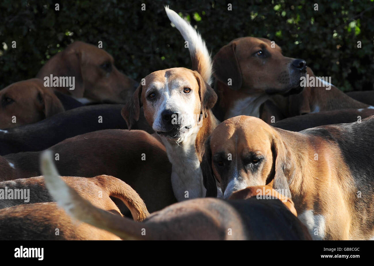 First weekend of hunting season Stock Photo - Alamy
