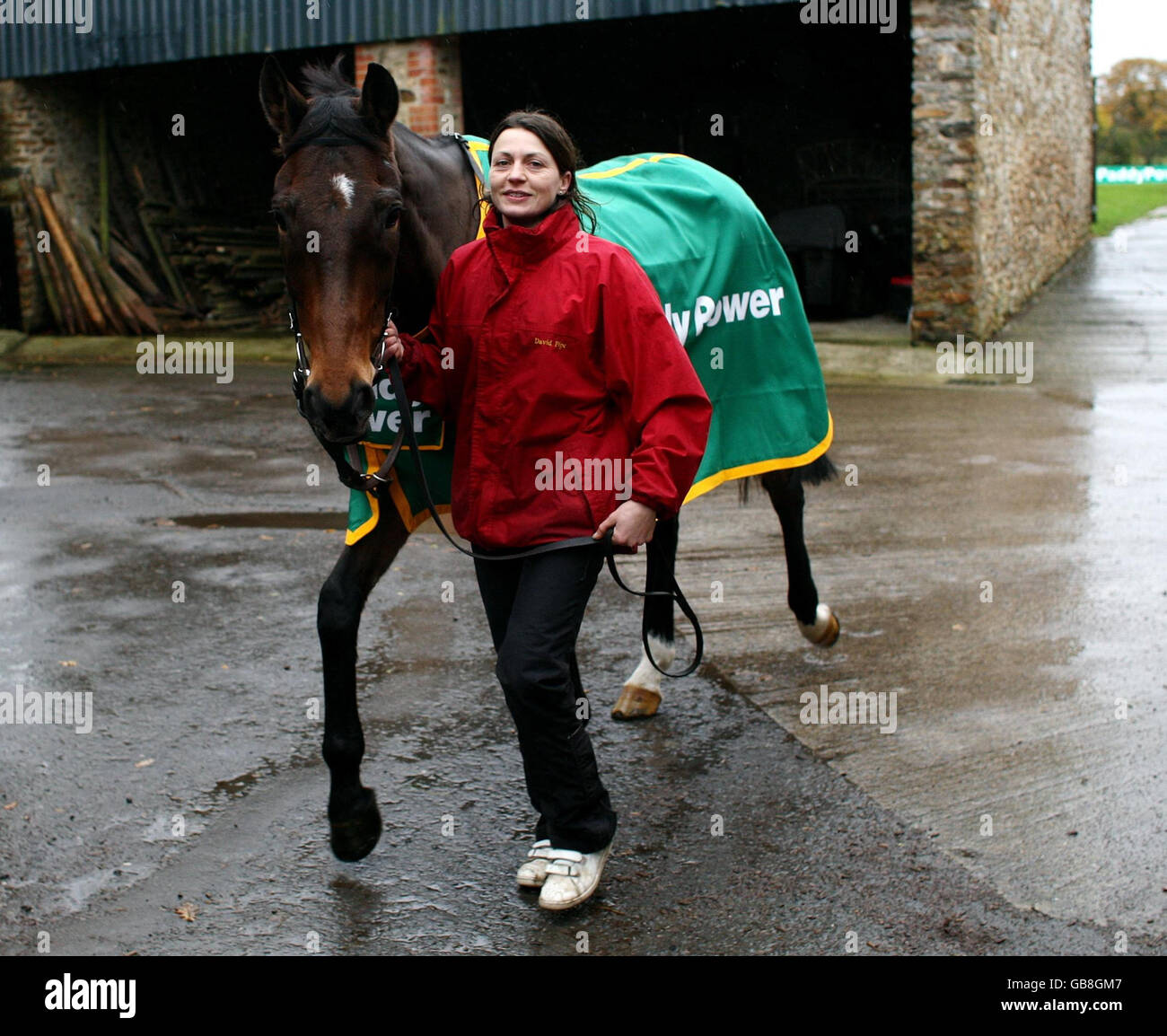 Horse Racing - Visit to David Pipe Stables - Wellington - Somerset ...