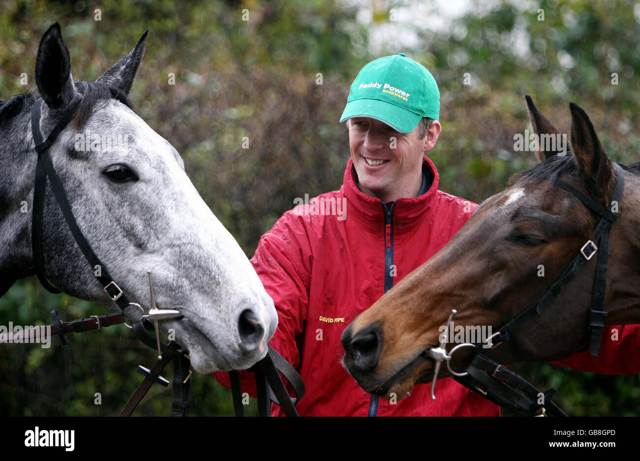 Trainer David Pipe stand between Piraya (left) and Vodka Blue (right ...