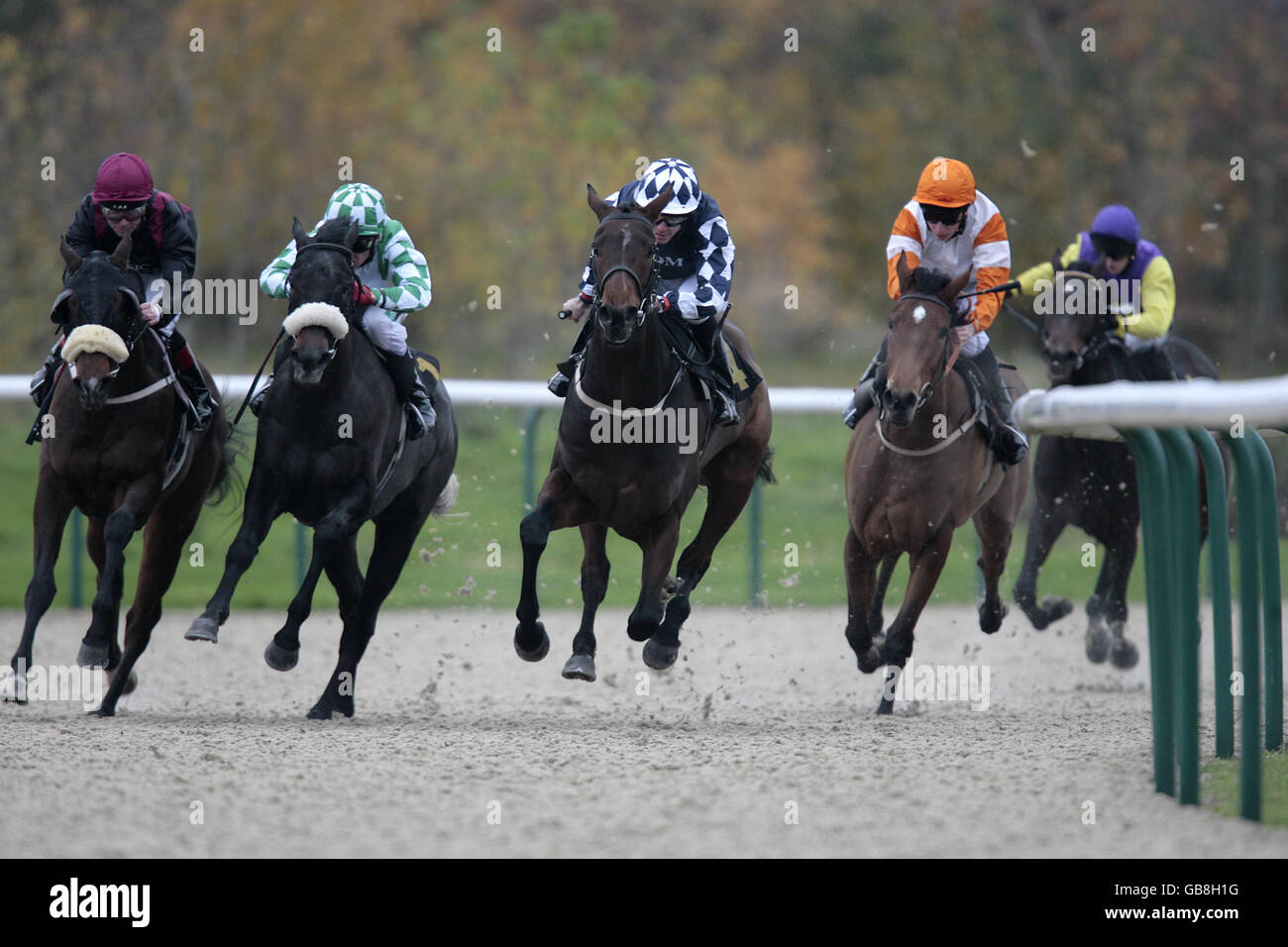 Horse Racing - Wolverhampton Racecourse Stock Photo - Alamy